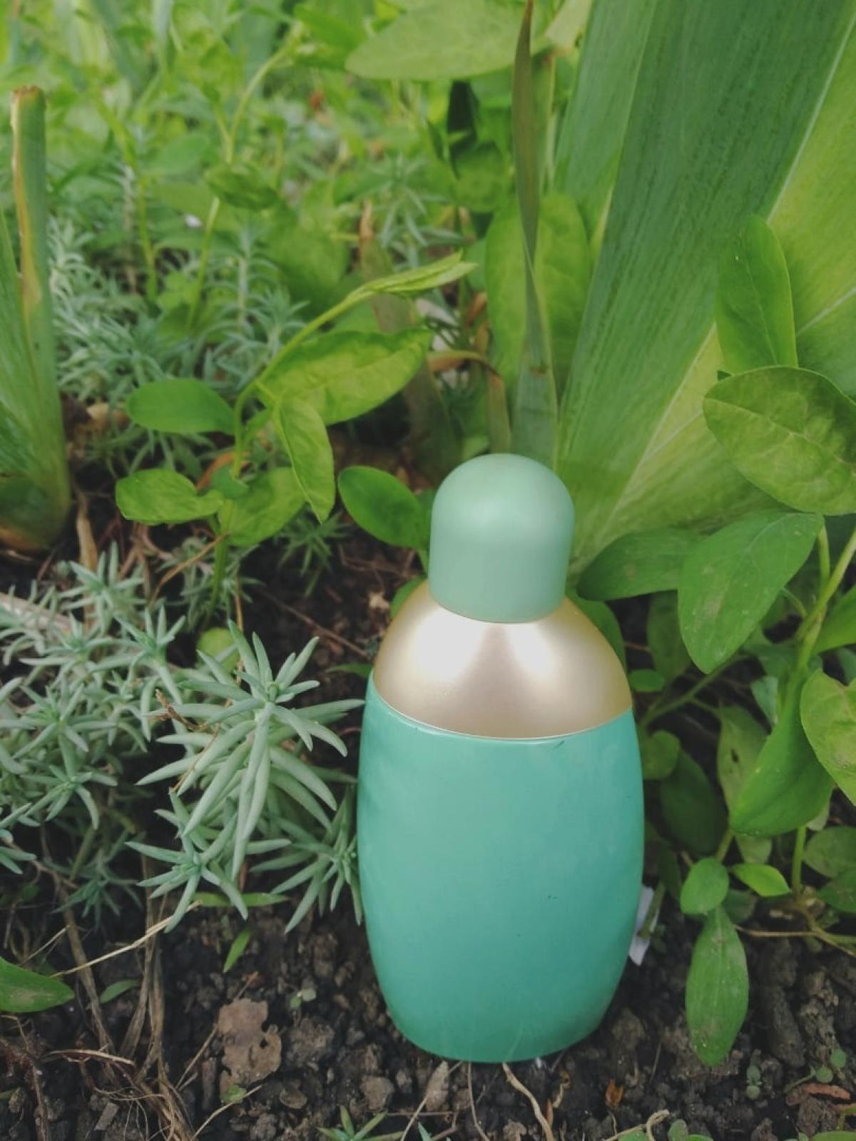 Eden Cacharel perfume - a fragrance for women 1994