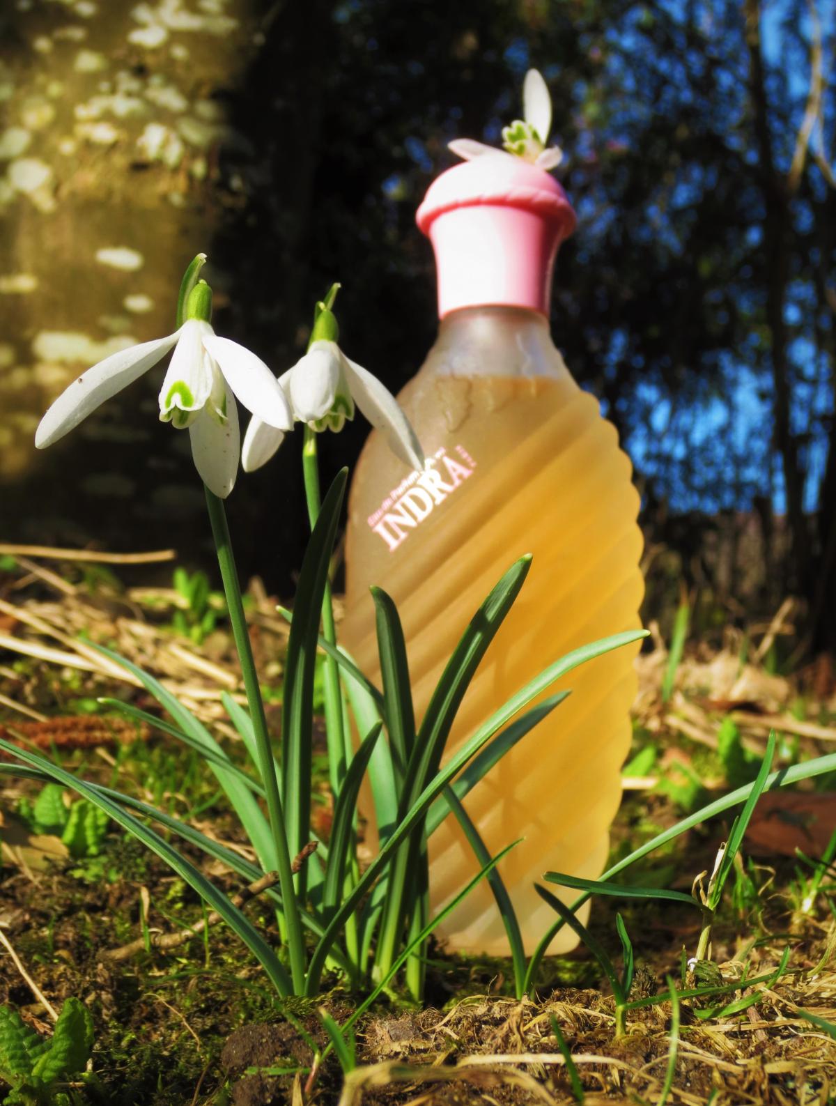 Indra Ulric de Varens perfume - a fragrance for women