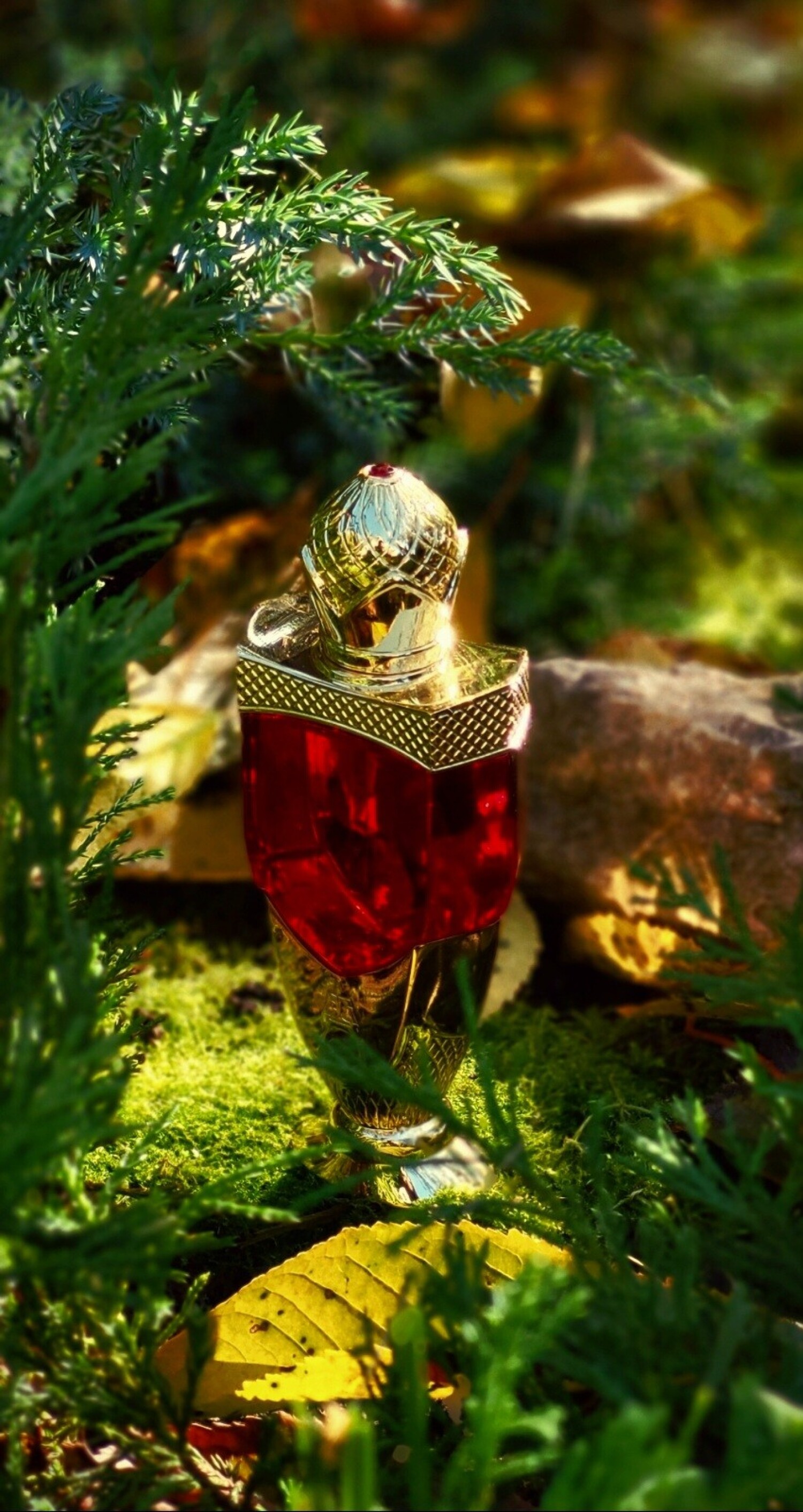 Tohfa Bait Al Bakhoor perfume - a fragrance for women and men 2021