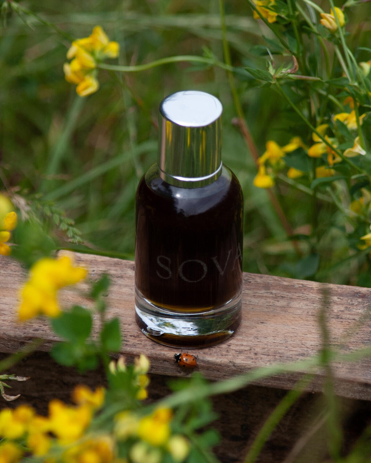 Sova Slumberhouse perfume - a fragrance for women and men 2012