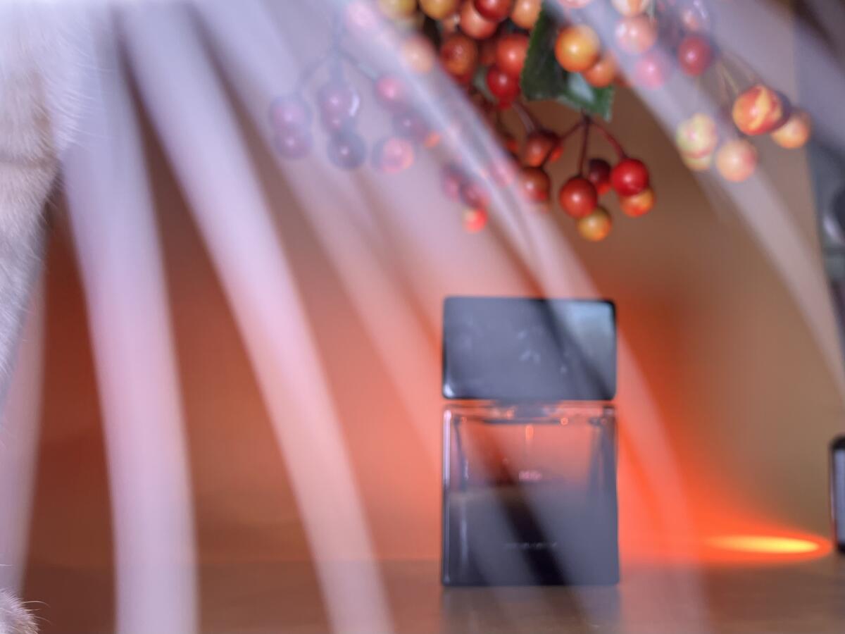 Red Sora Dora аромат — новый аромат для мужчин и женщин 2024