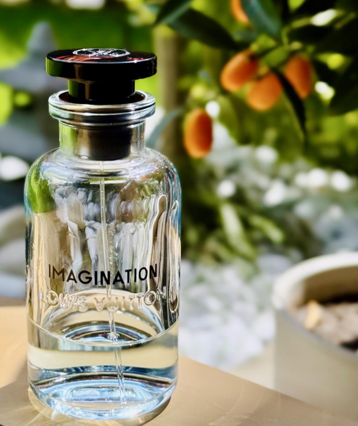 Imagination Louis Vuitton cologne - a fragrance for men 2021