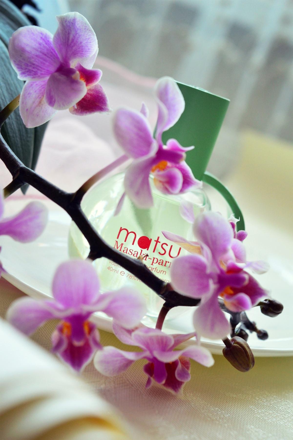 Matsu Masaki Matsushima perfume - a fragrance for women 2014