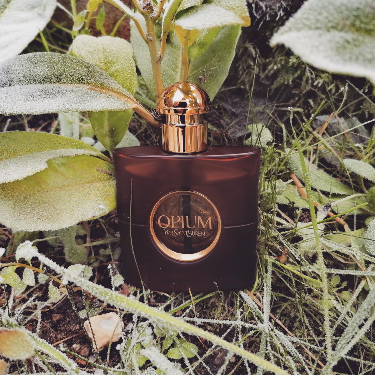 Opium Eau de Parfum 2009 Yves Saint Laurent perfume - a fragrance for ...