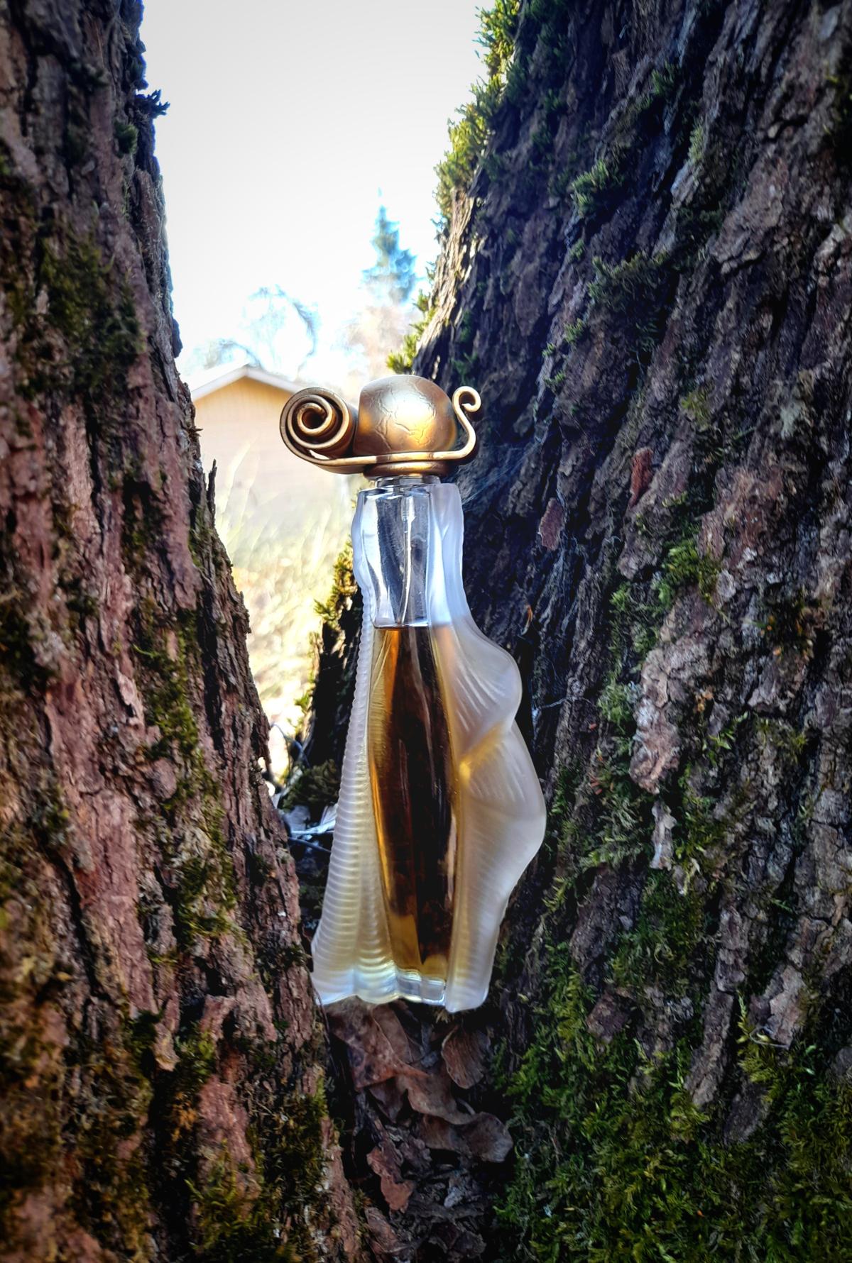 Organza Indécence Givenchy perfume - a fragrance for women 1999