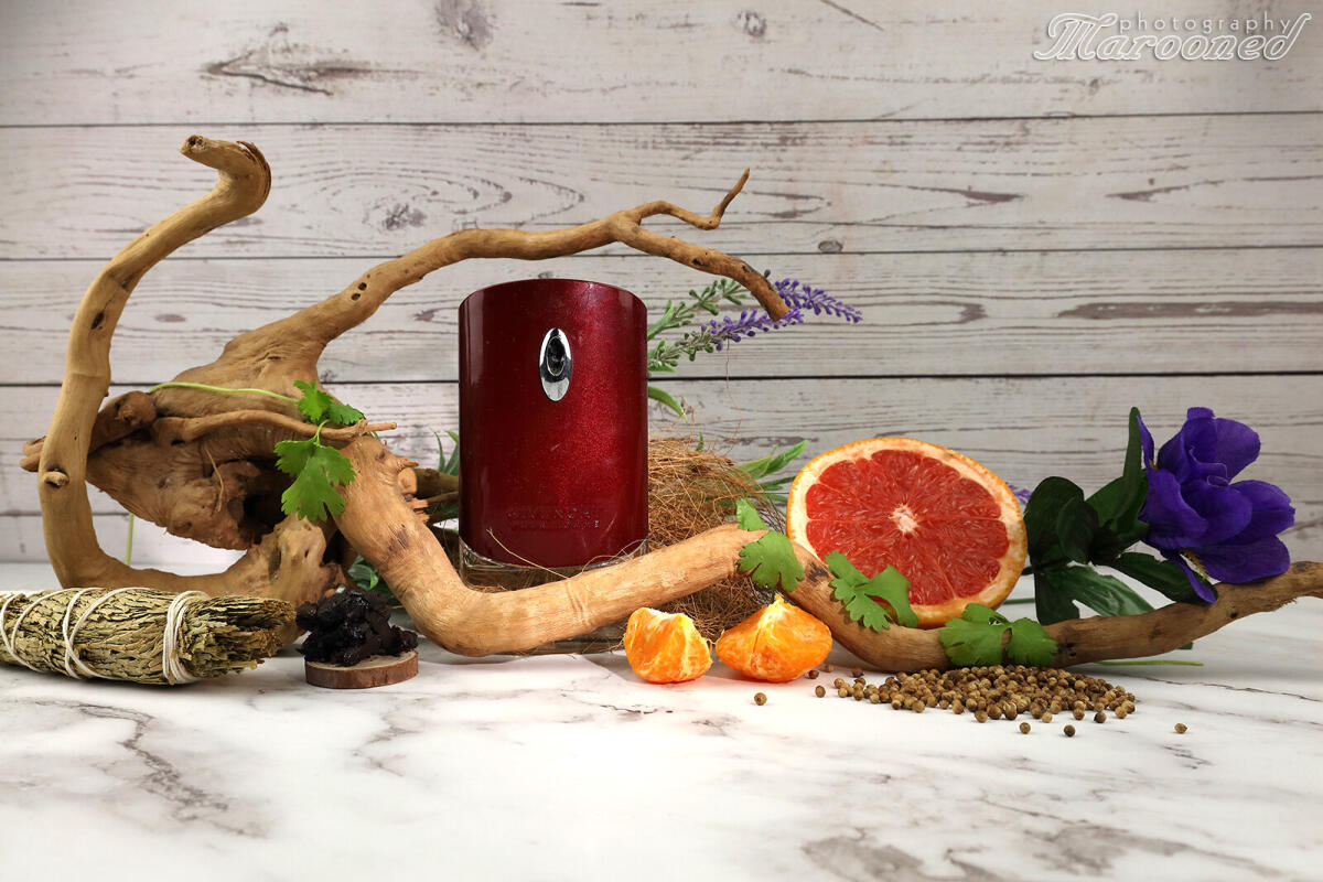 Givenchy pour Homme Givenchy cologne - a fragrance for men 2002