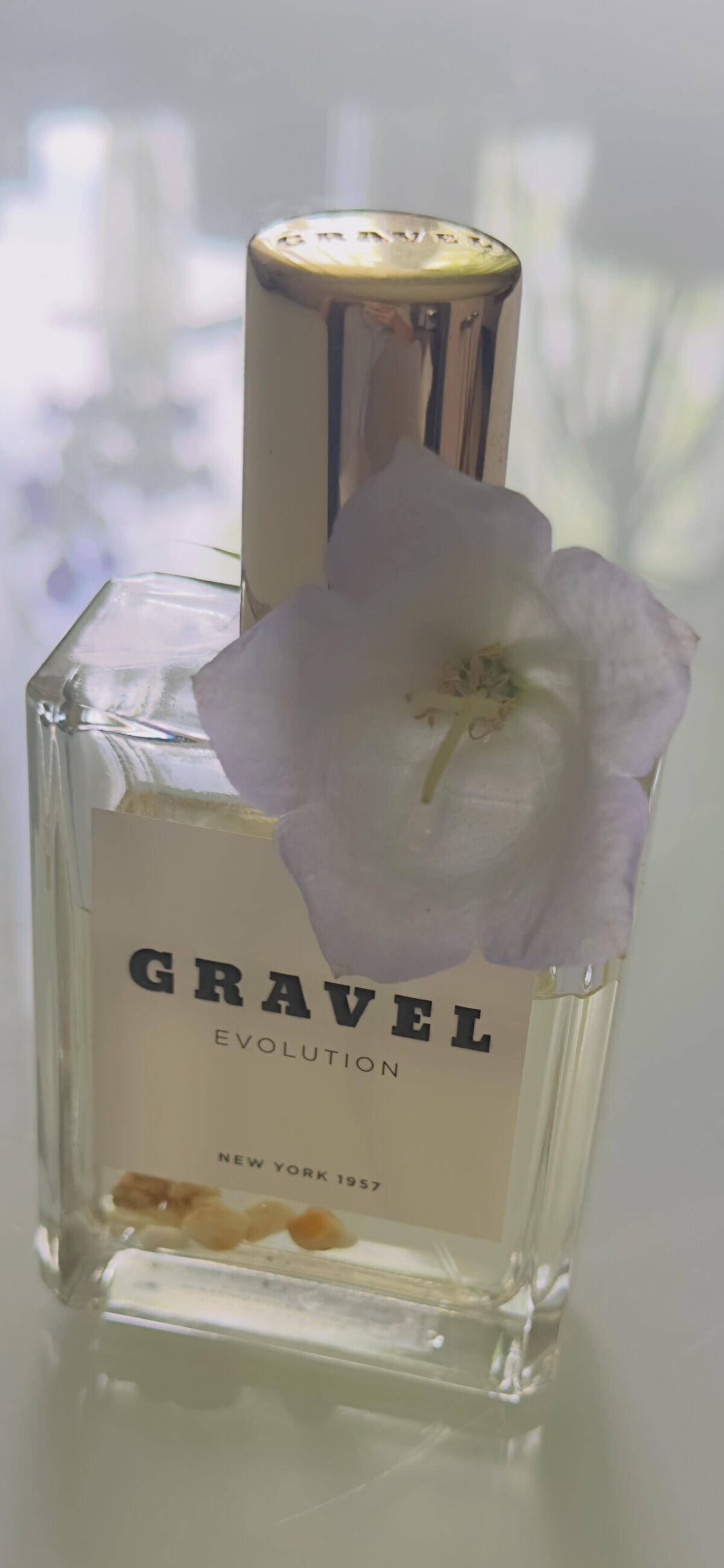 Evolution Gravel perfume - a fragrance for women and men 2023