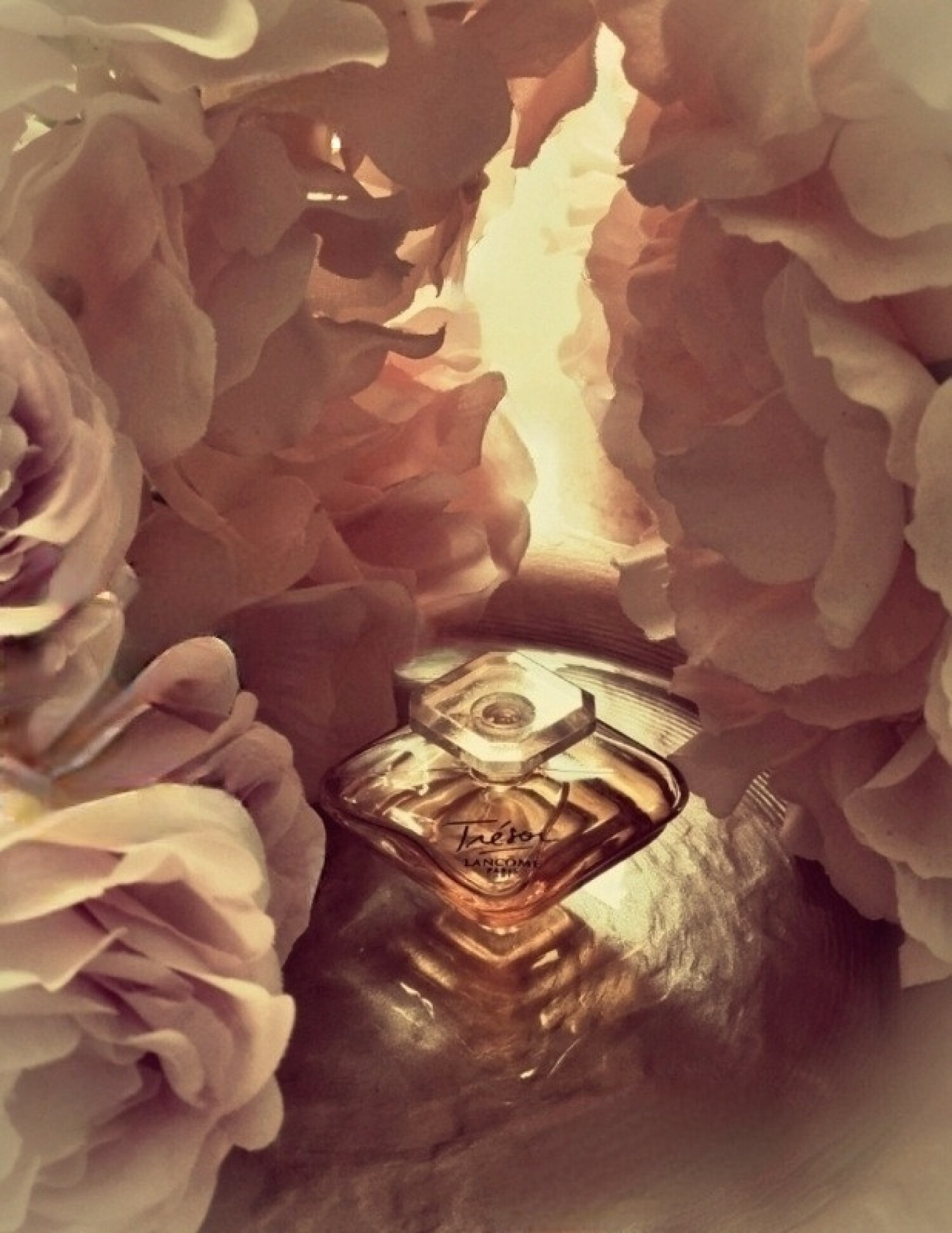 Trésor Lancôme perfume - a fragrance for women 1990