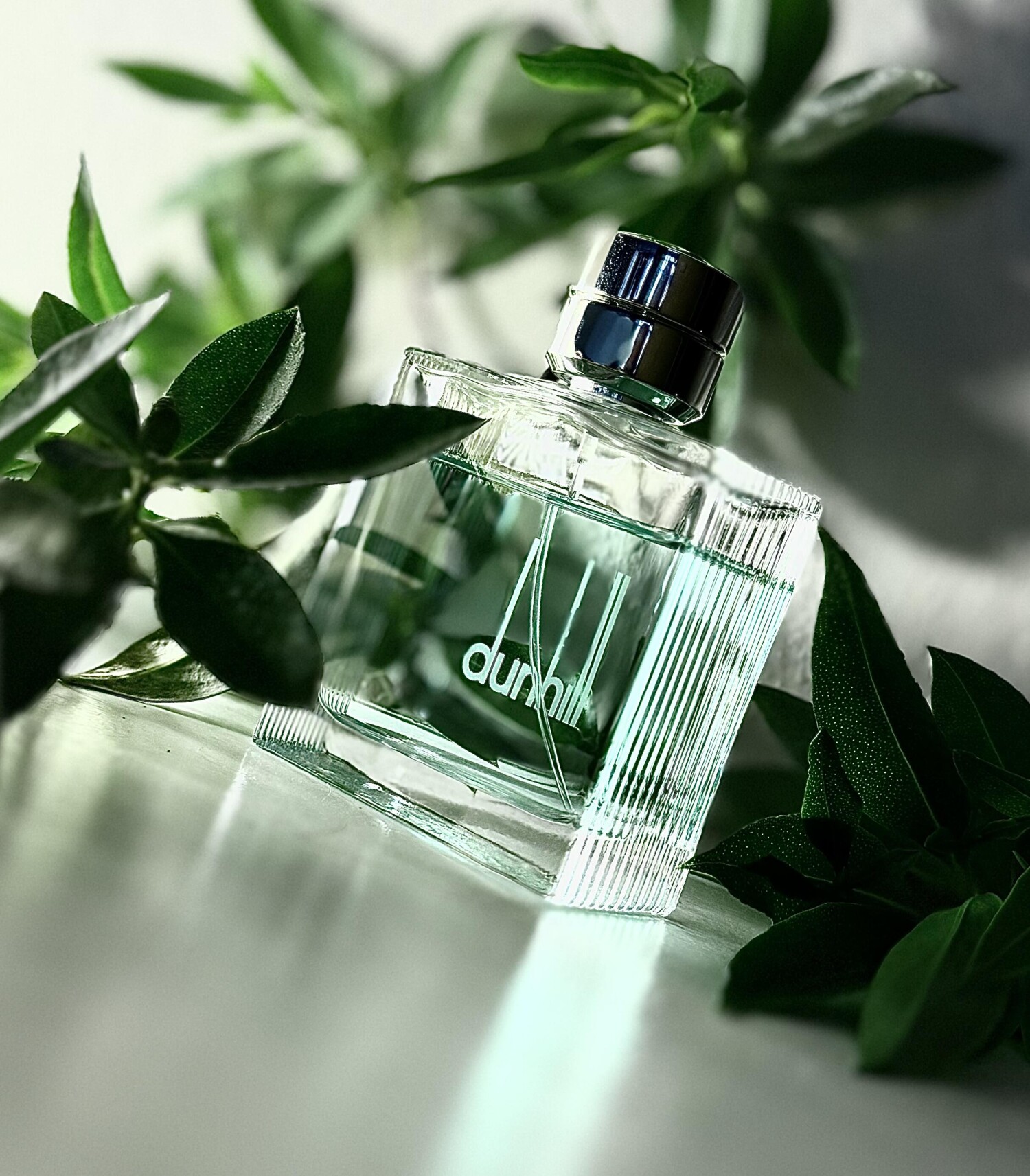 Dunhill Fresh Alfred Dunhill cologne - a fragrance for men 2005