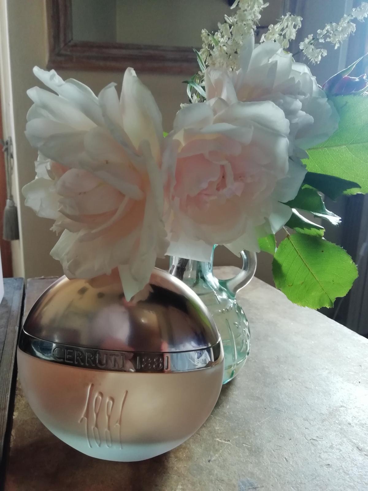 1881 Cerruti perfume - a fragrance for women 1995