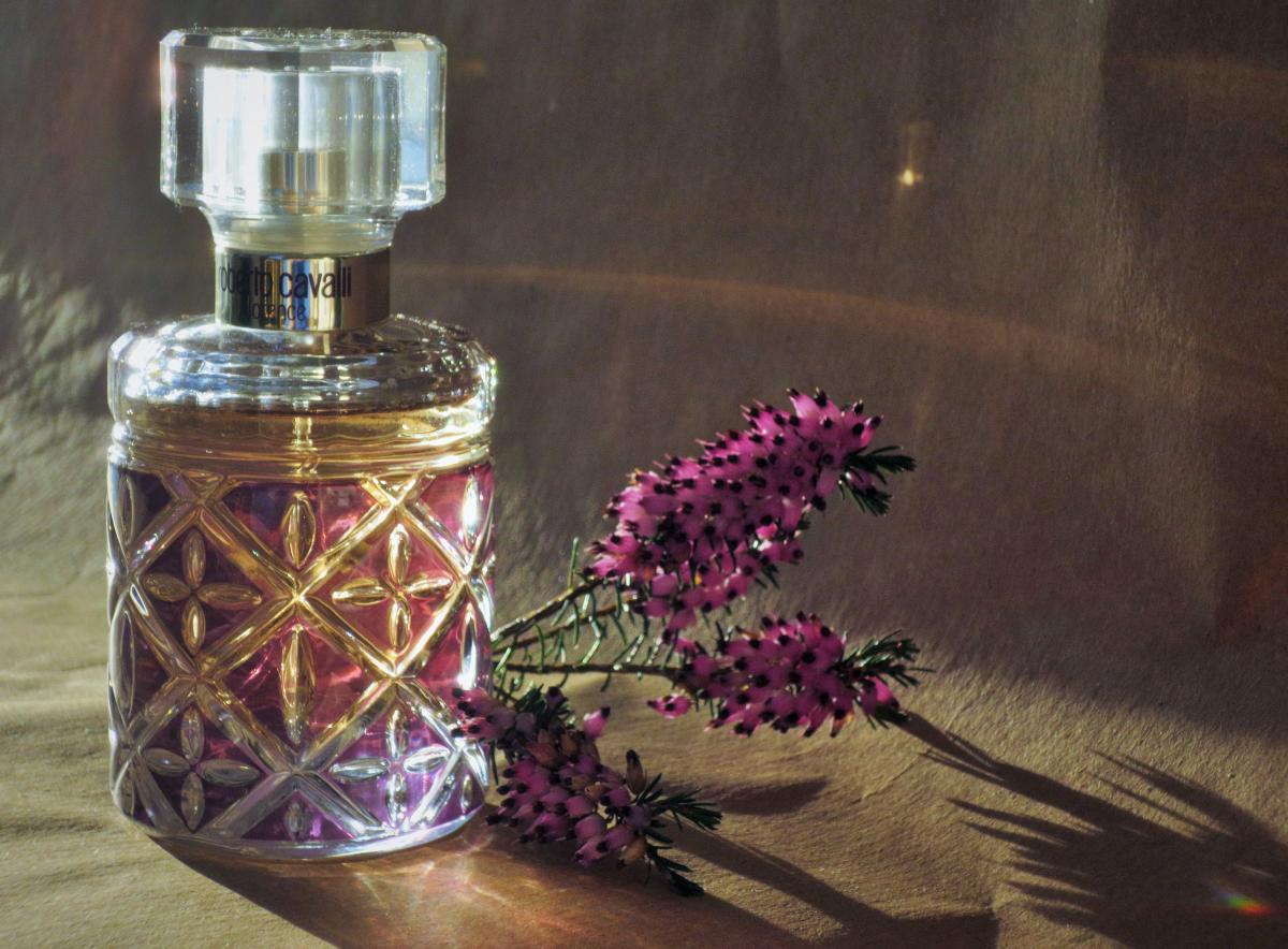 Florence Roberto Cavalli perfume - a fragrance for women 2017