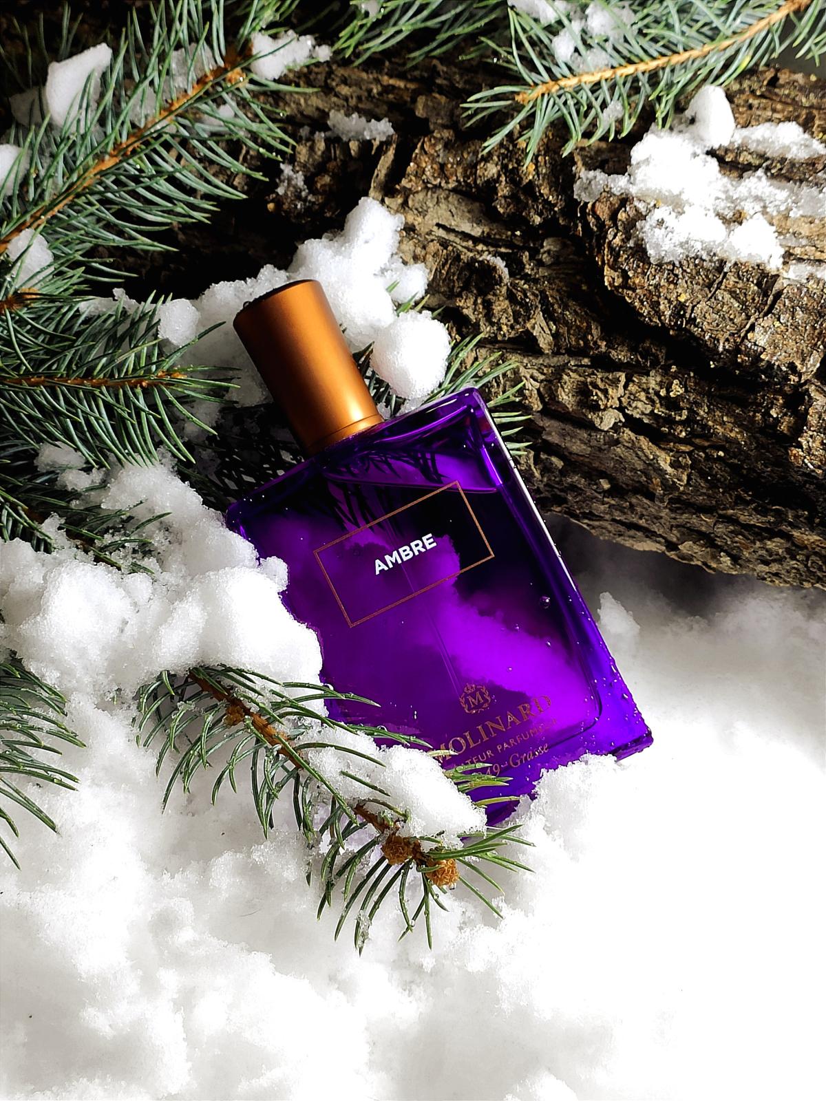 Ambre Eau de Parfum Molinard perfume - a fragrance for women and men 2015