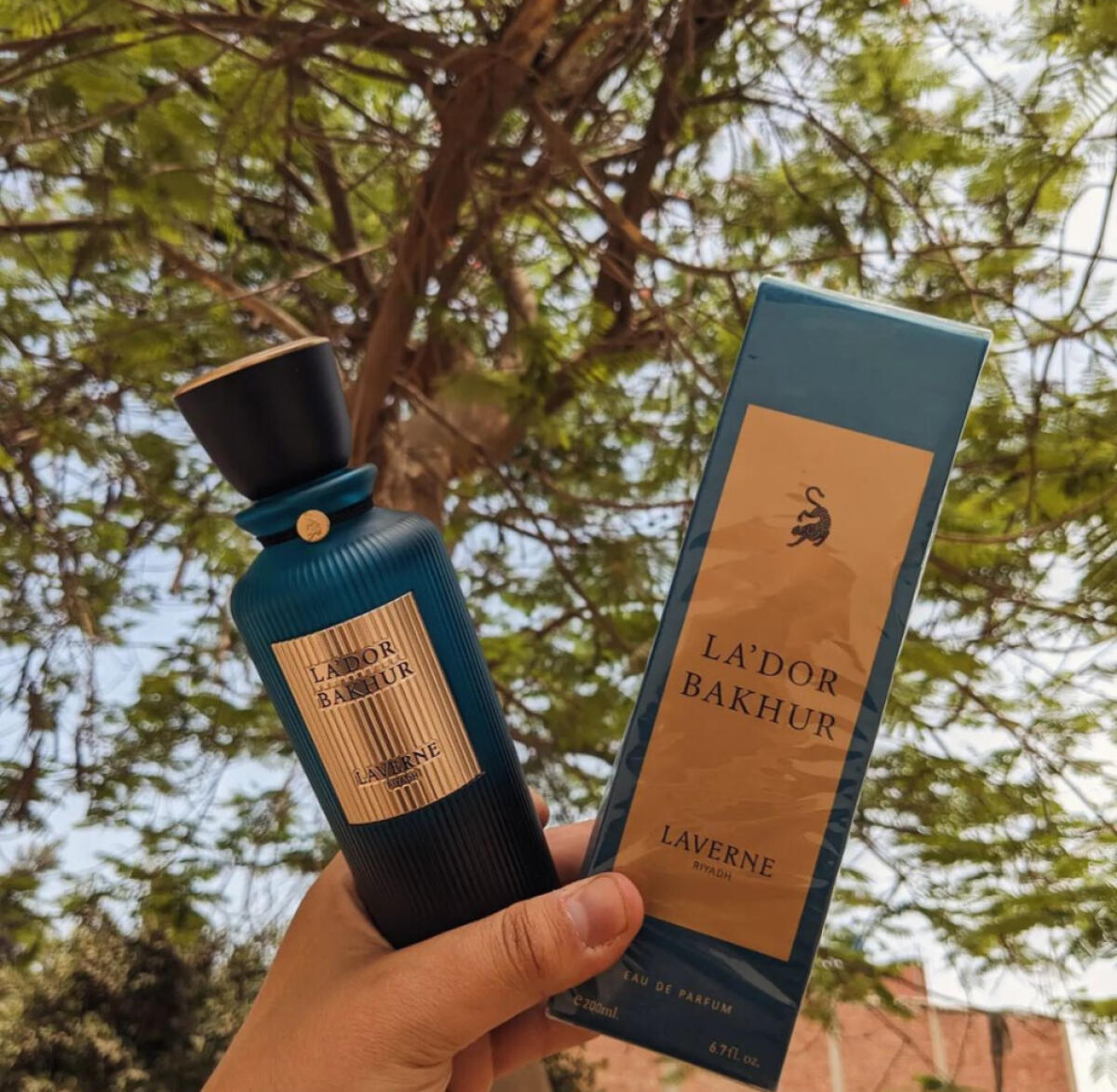 La'dor Bakhur Classic Laverne άρωμα - ένα νέο άρωμα για γυναίκες και άνδρες 2024