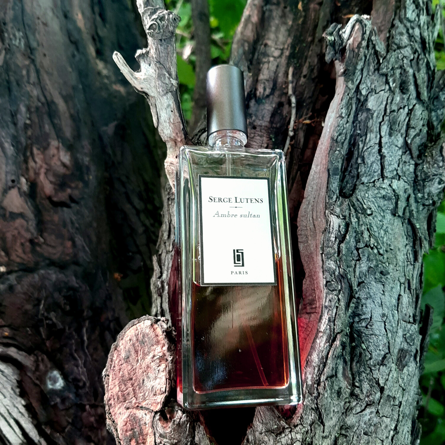 Ambre Sultan Serge Lutens perfume - a fragrance for women and men 2000