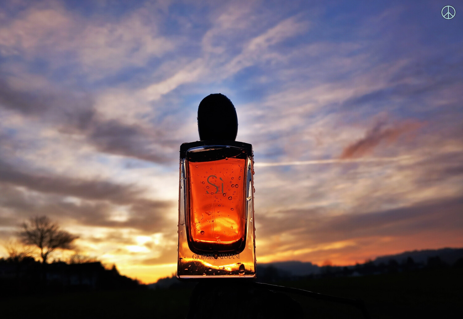 Sì Intense 2021 Giorgio Armani perfume - a fragrance for women 2021