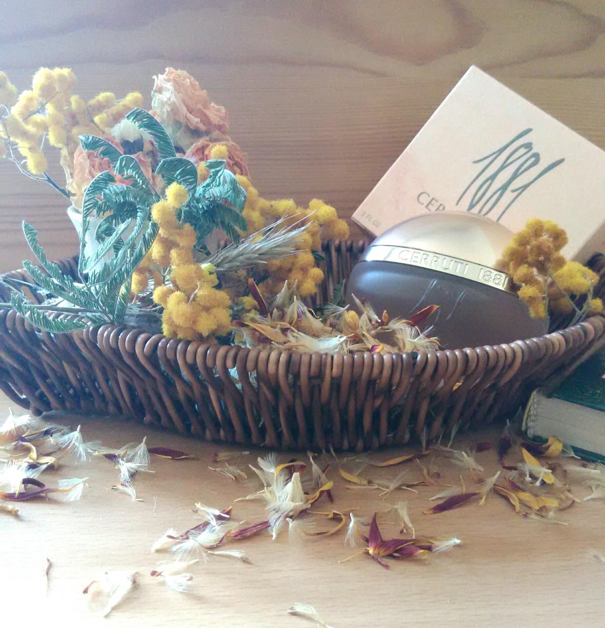 1881 Cerruti perfume - a fragrance for women 1995