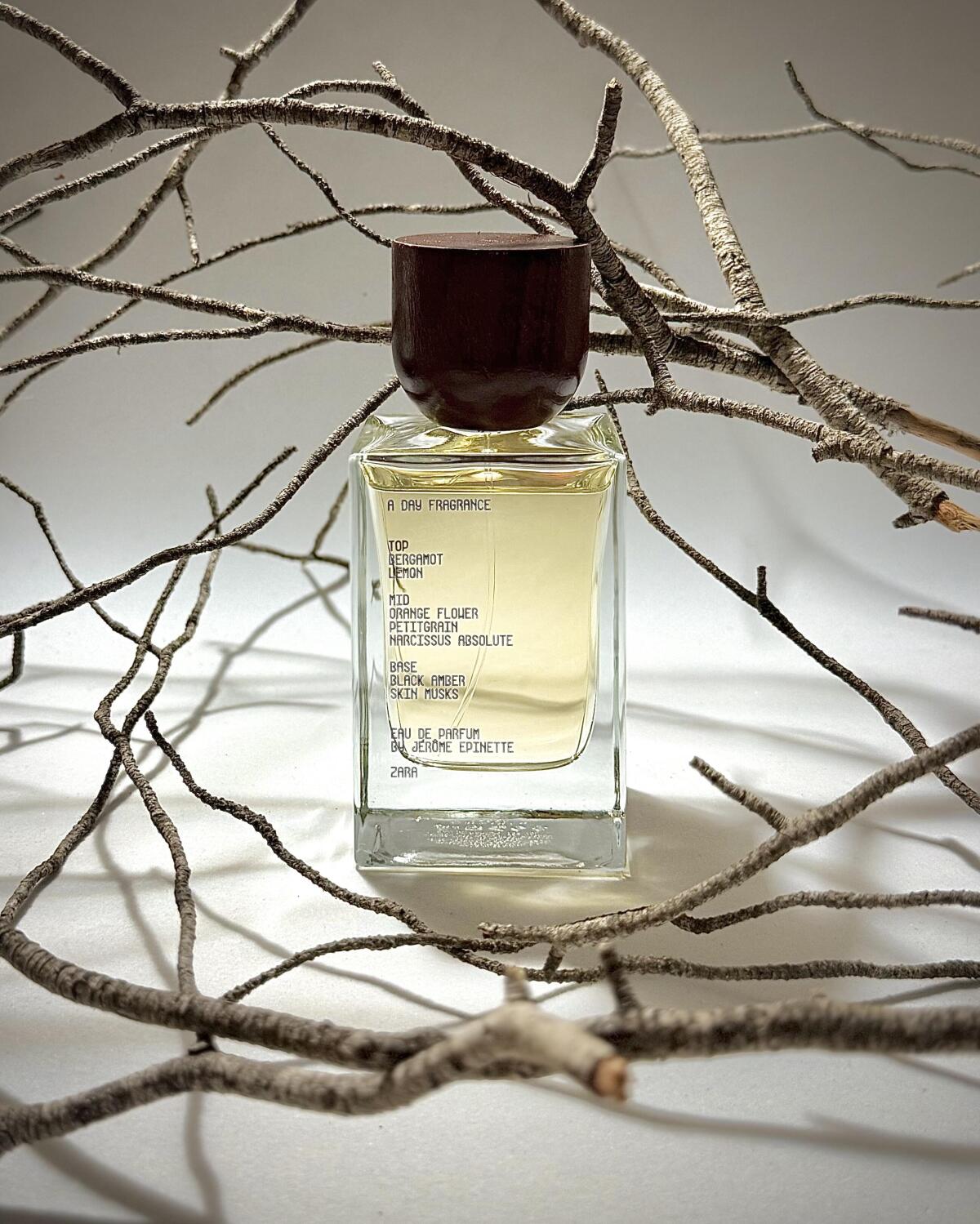 A Day Fragrance Zara cologne - a new fragrance for men 2024