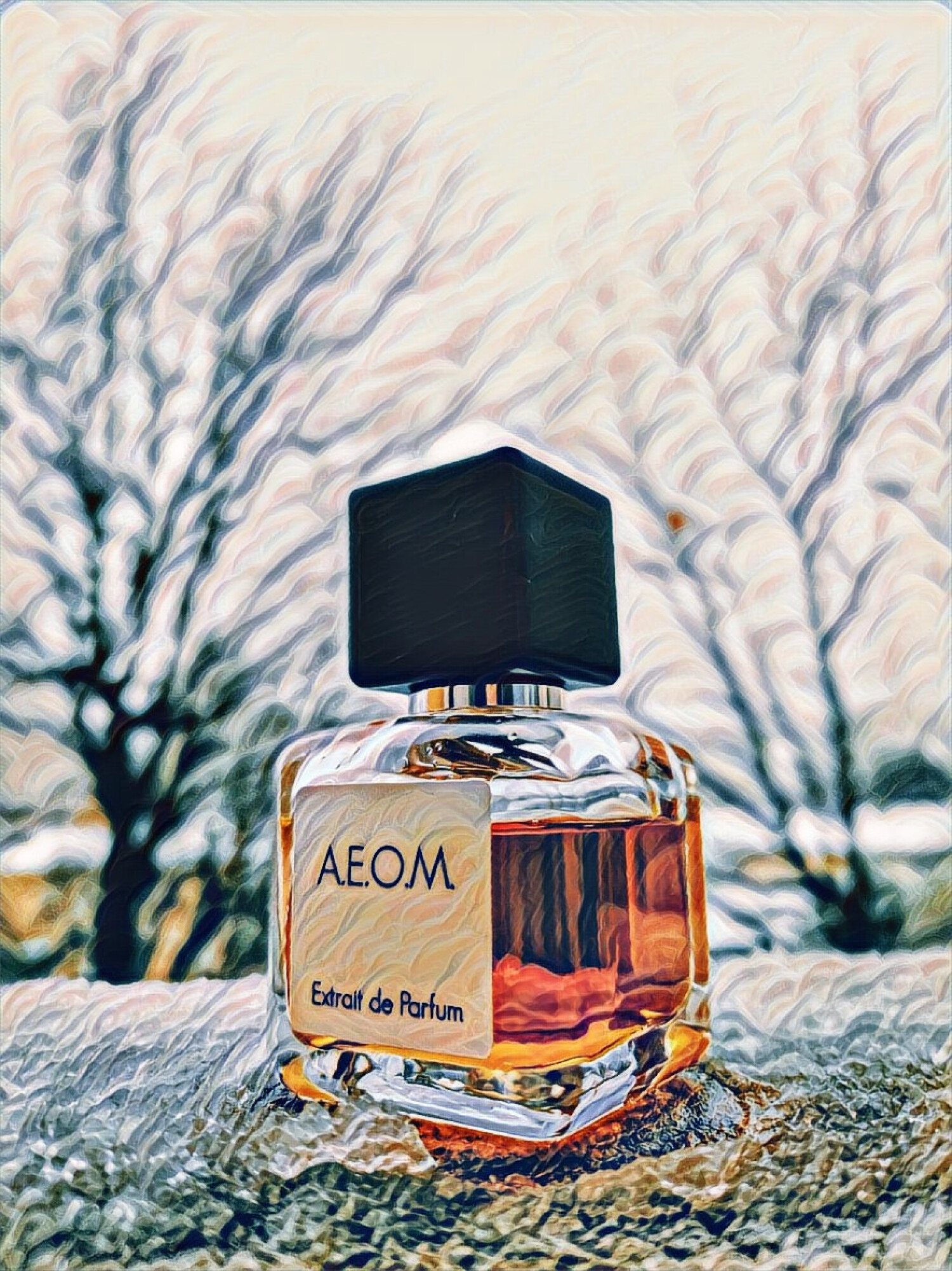 A.E.O.M. Aura Perfume perfume - a fragrance for women and men 2017