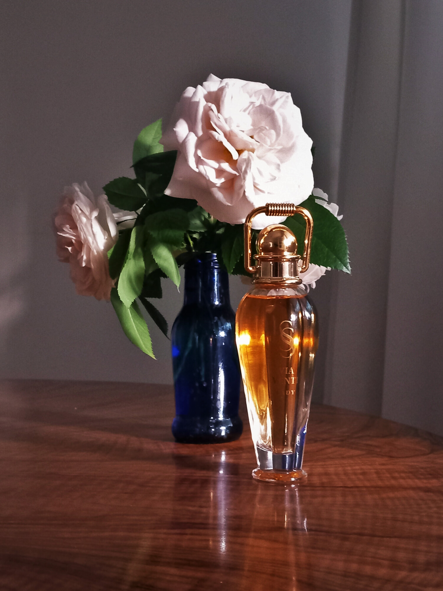 Via Venti Sergio Soldano perfume - a fragrance for women