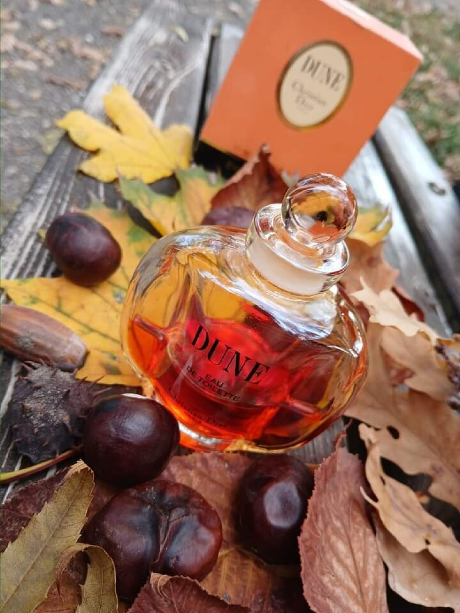 Dune Dior perfume - a fragrance for women 1991