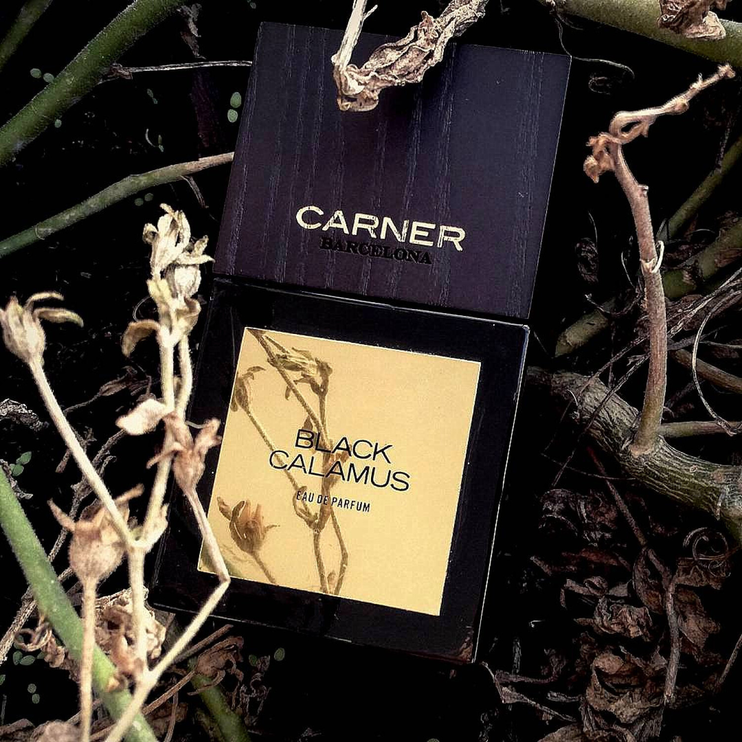 Black Calamus Carner Barcelona perfume - a fragrance for women and men 2016