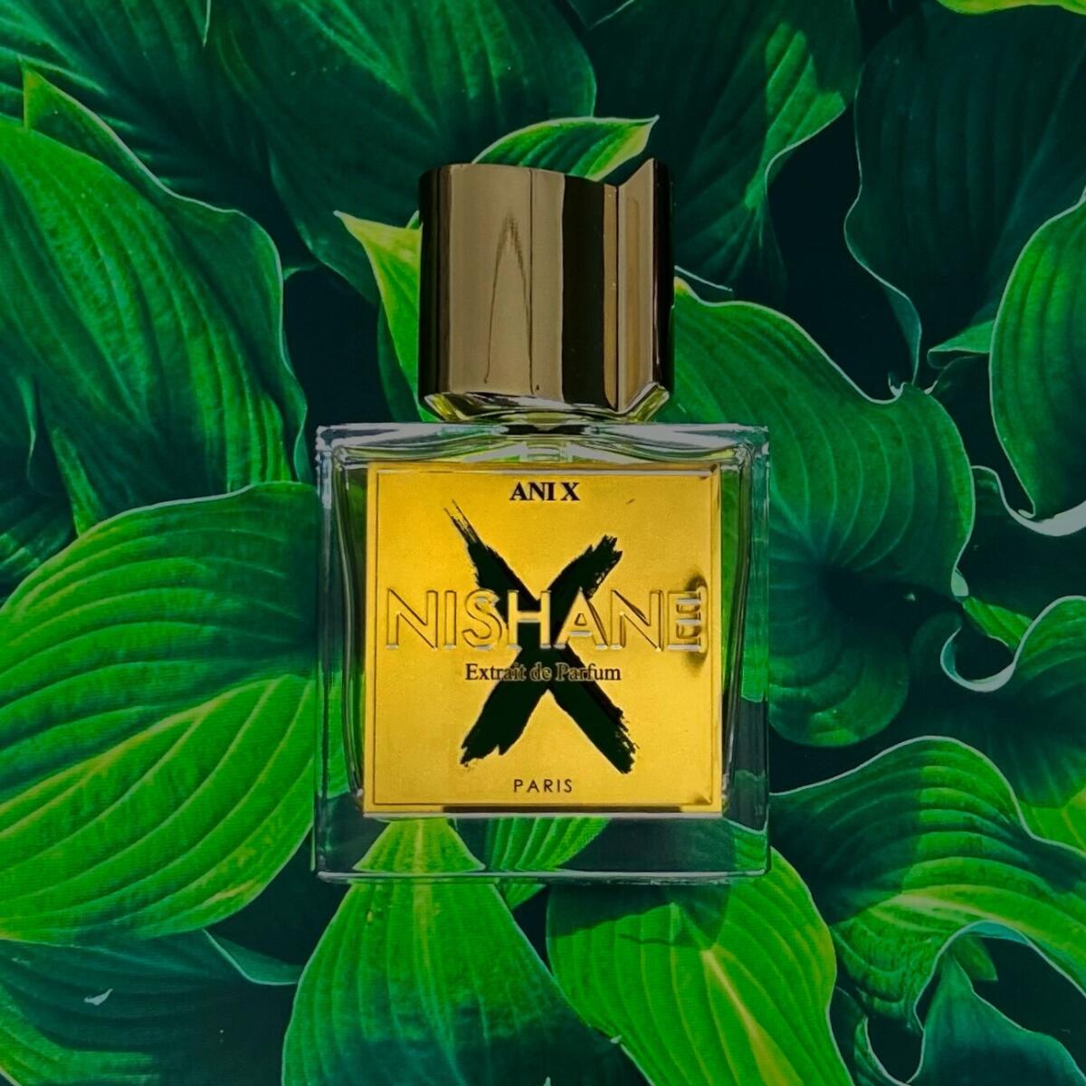 Ani X Nishane perfume - a new fragrance for women and men 2023