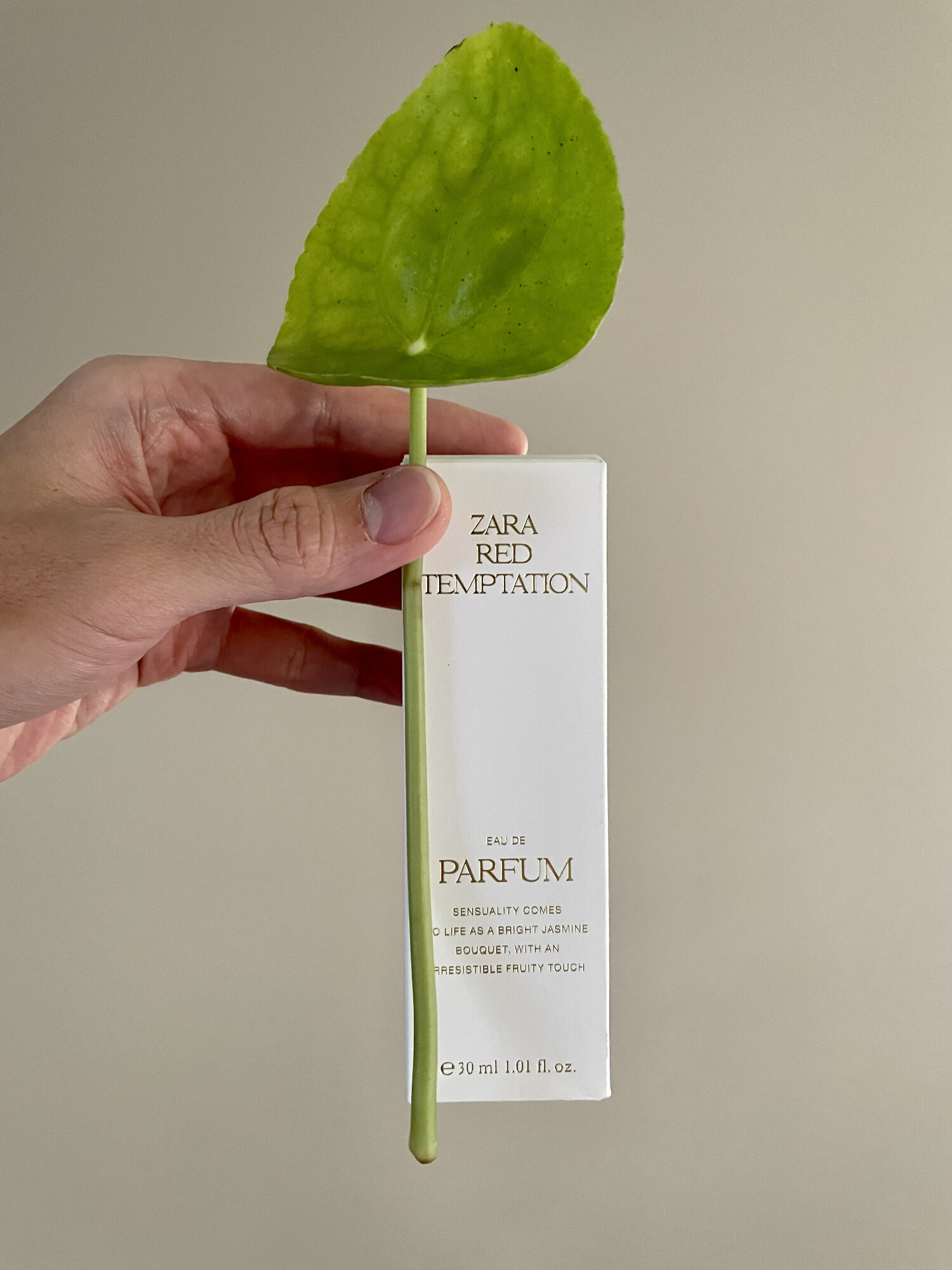Red Temptation For Her Zara perfume - a fragrance for women 2020