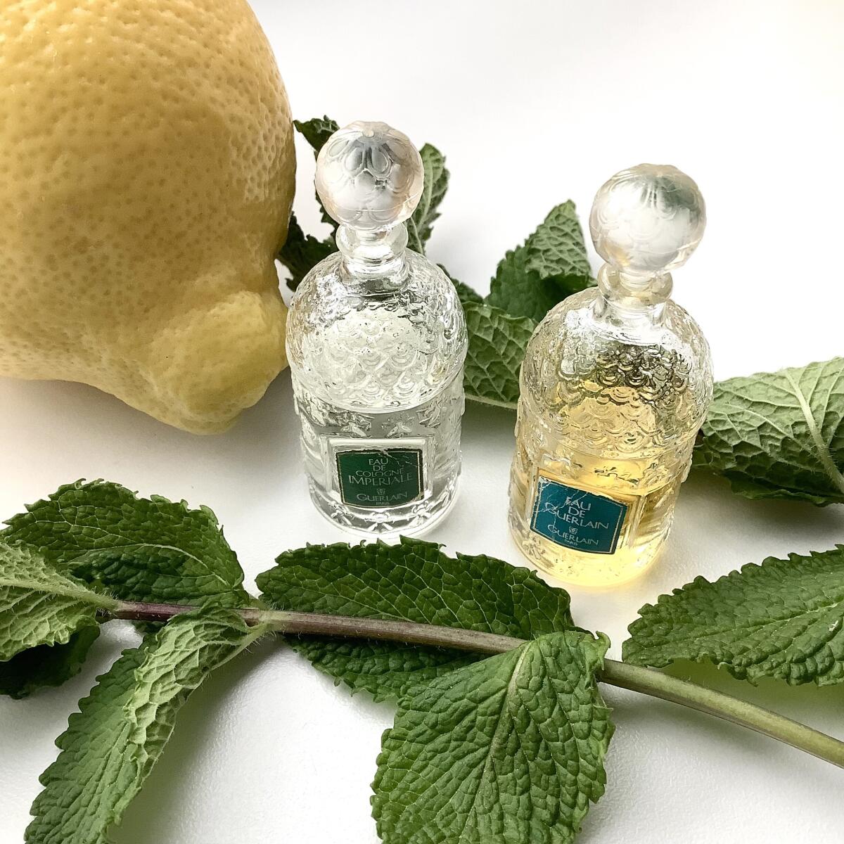 Eau de Cologne Imperiale Guerlain perfume - a fragrance for women 1860