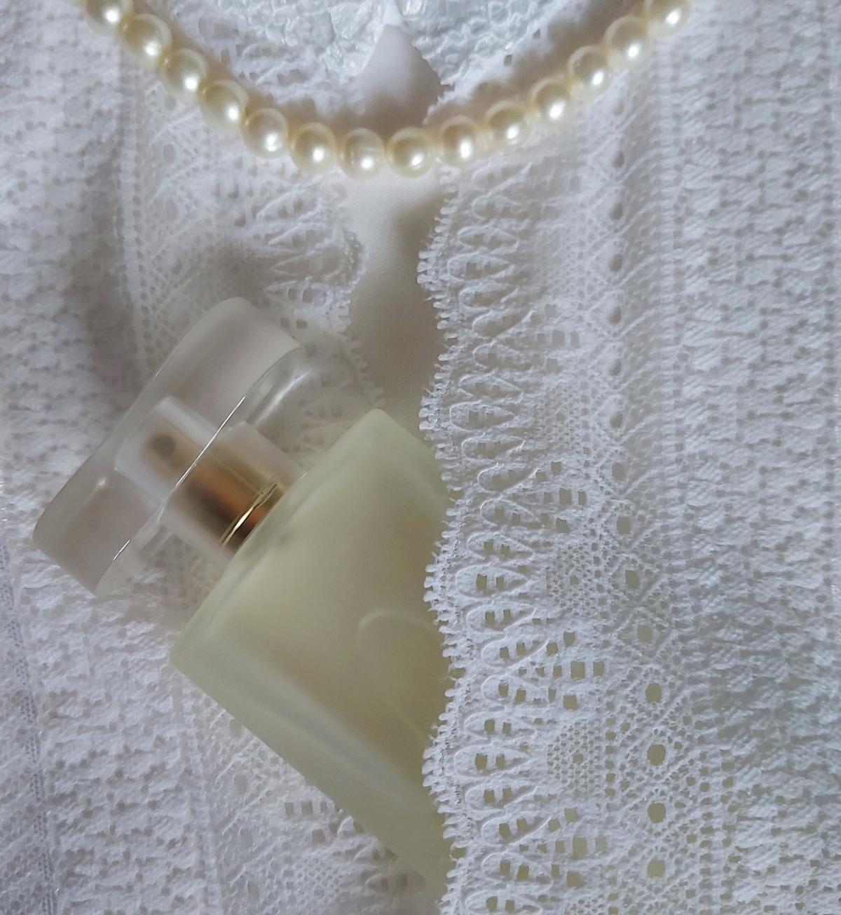 Pure White Linen Estée Lauder perfume - a fragrance for women 2006