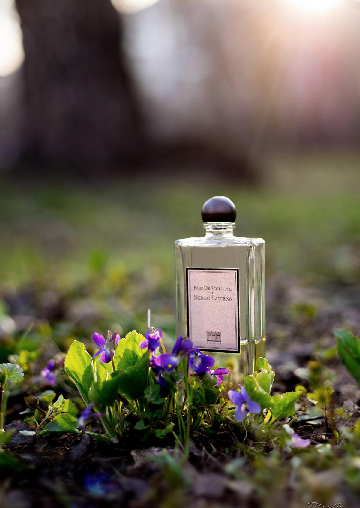 Bois de Violette Serge Lutens perfume - a fragrance for women and men 1992