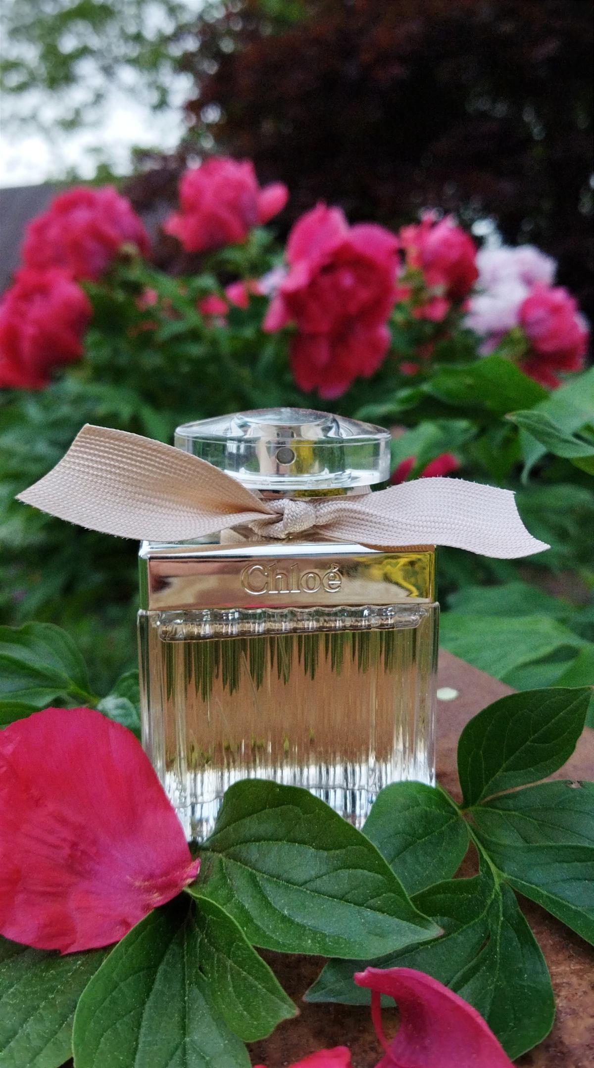 Chloe Eau de Parfum Chloé perfume - a fragrance for women 2008