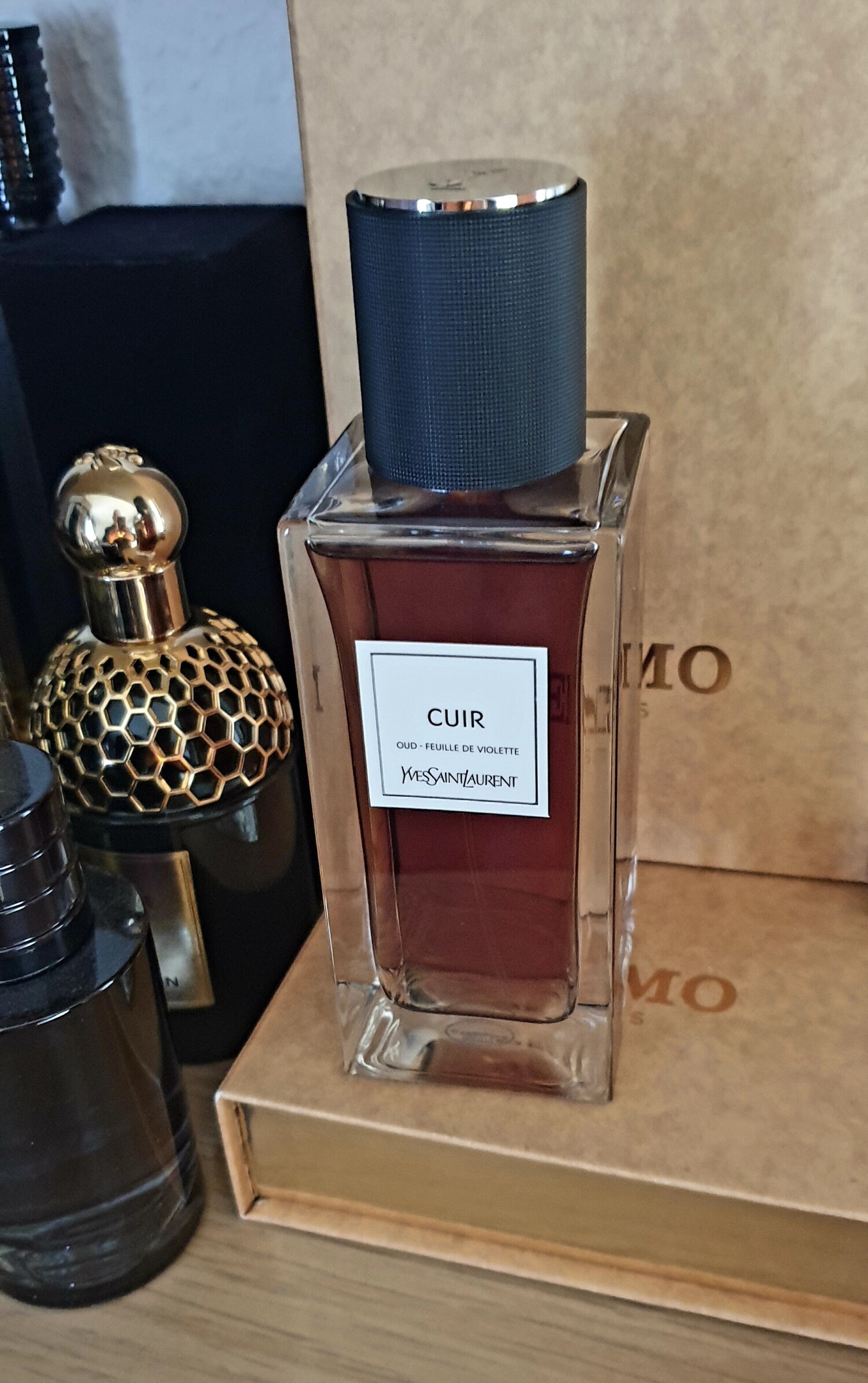 Cuir (2023) Yves Saint Laurent perfume - a new fragrance for women and ...