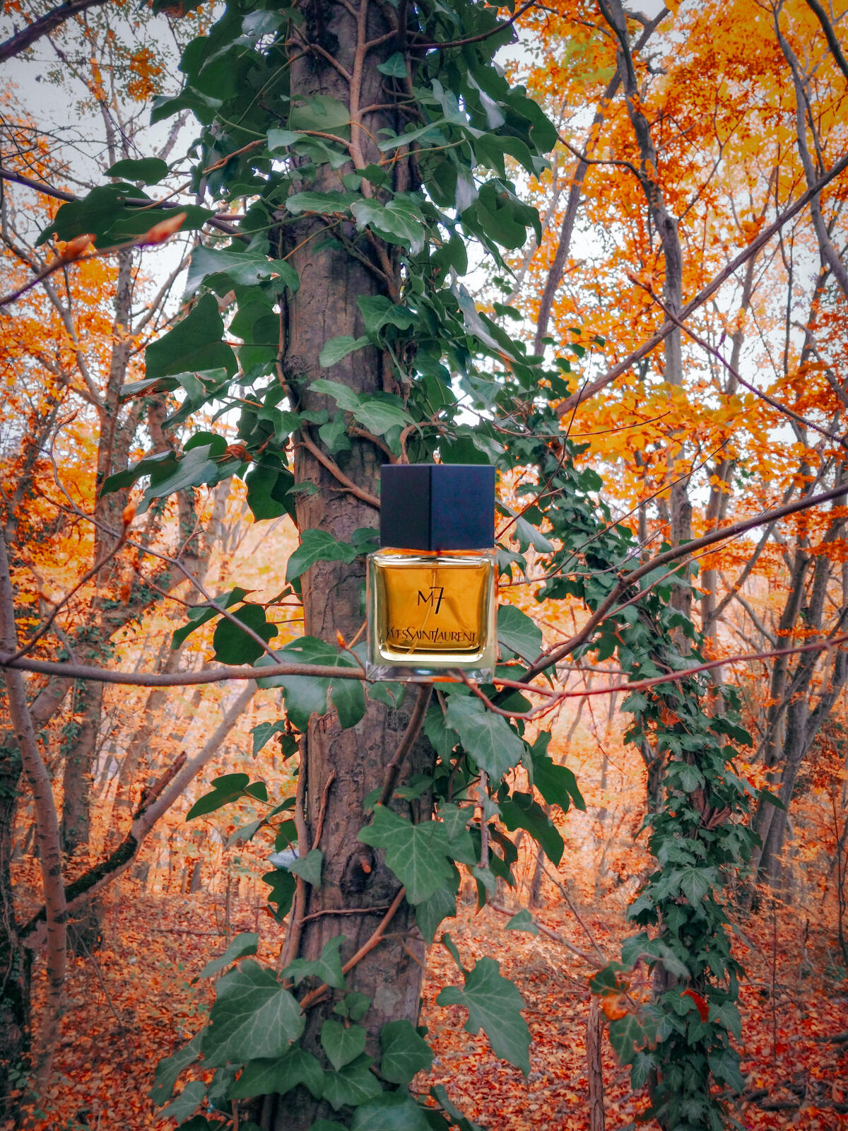 M7 Yves Saint Laurent cologne - a fragrance for men 2002