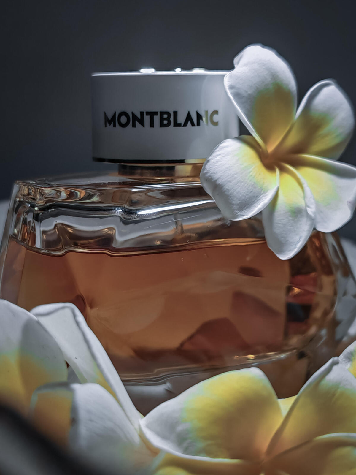 Signature Absolue Montblanc perfume - a fragrance for women 2023