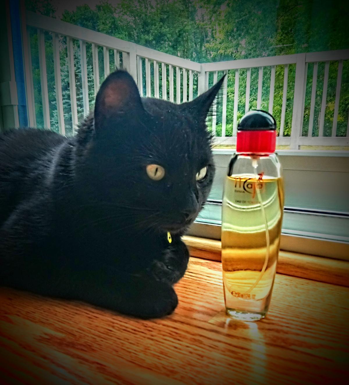 Maja Myrurgia perfume - a fragrance for women 1921