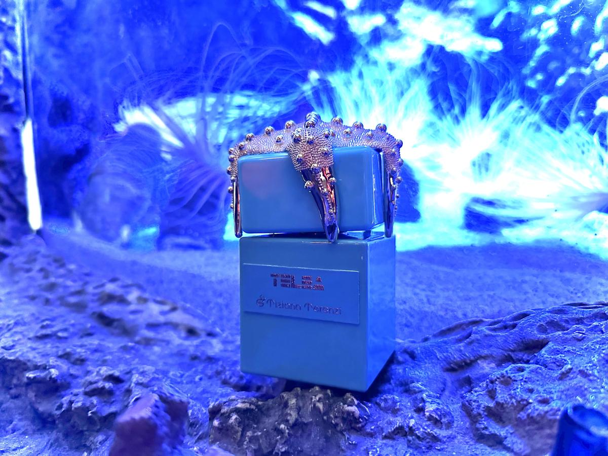 Telea Tiziana Terenzi perfume - a fragrance for women and men 2020