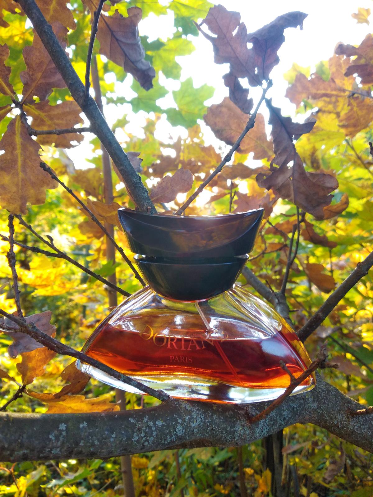 Doriane Yves de Sistelle perfume - a fragrance for women