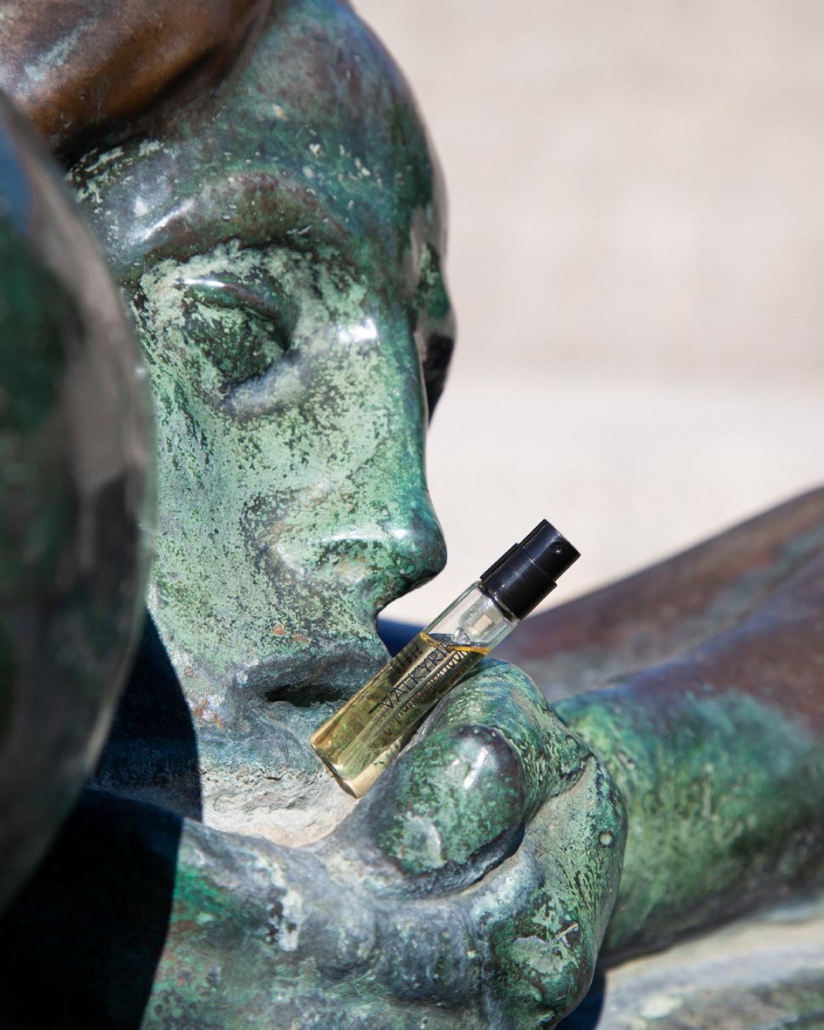 Valkyrie Sylvaine Delacourte perfume - a fragrance for women and men 2018