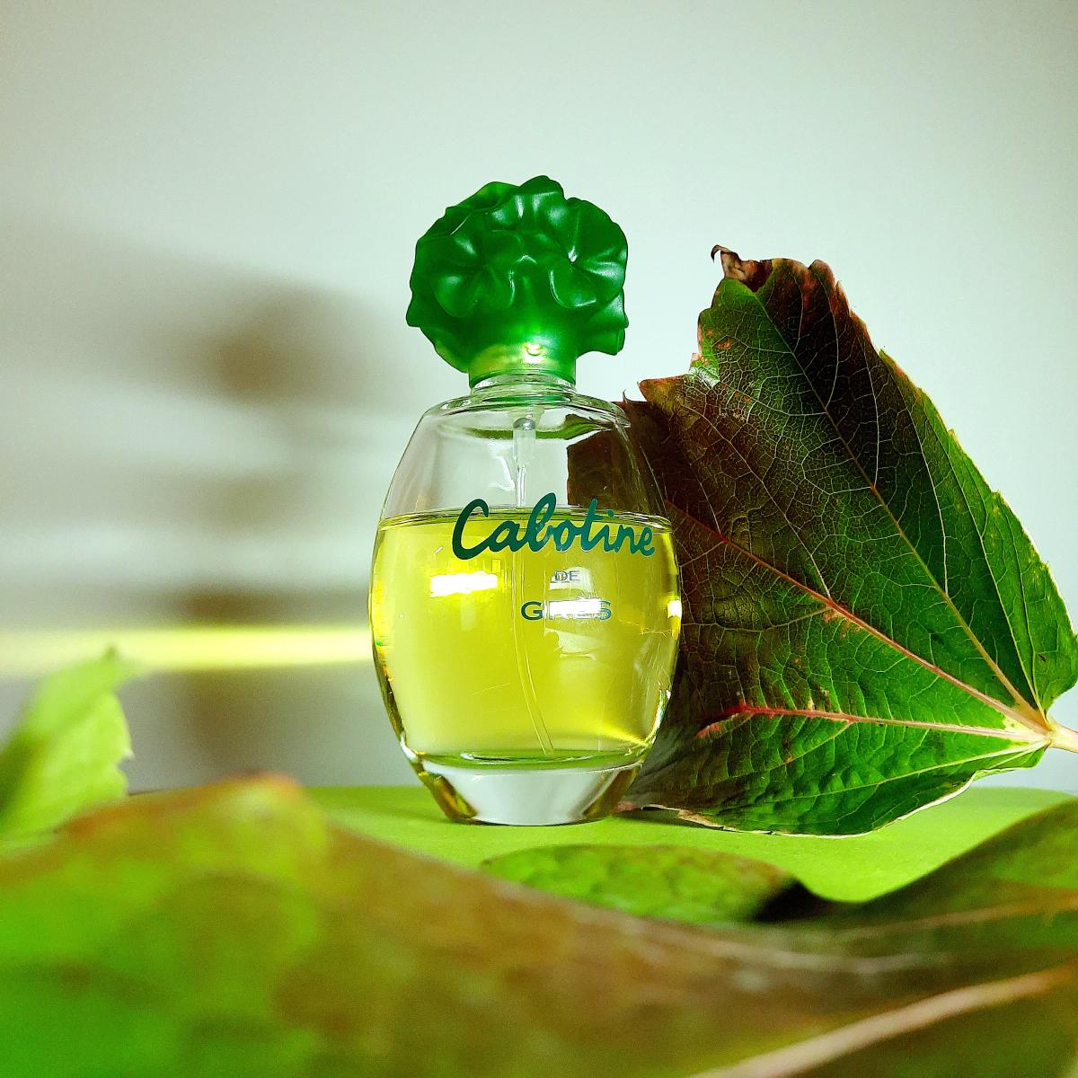 Cabotine Grès perfume - a fragrance for women 1990