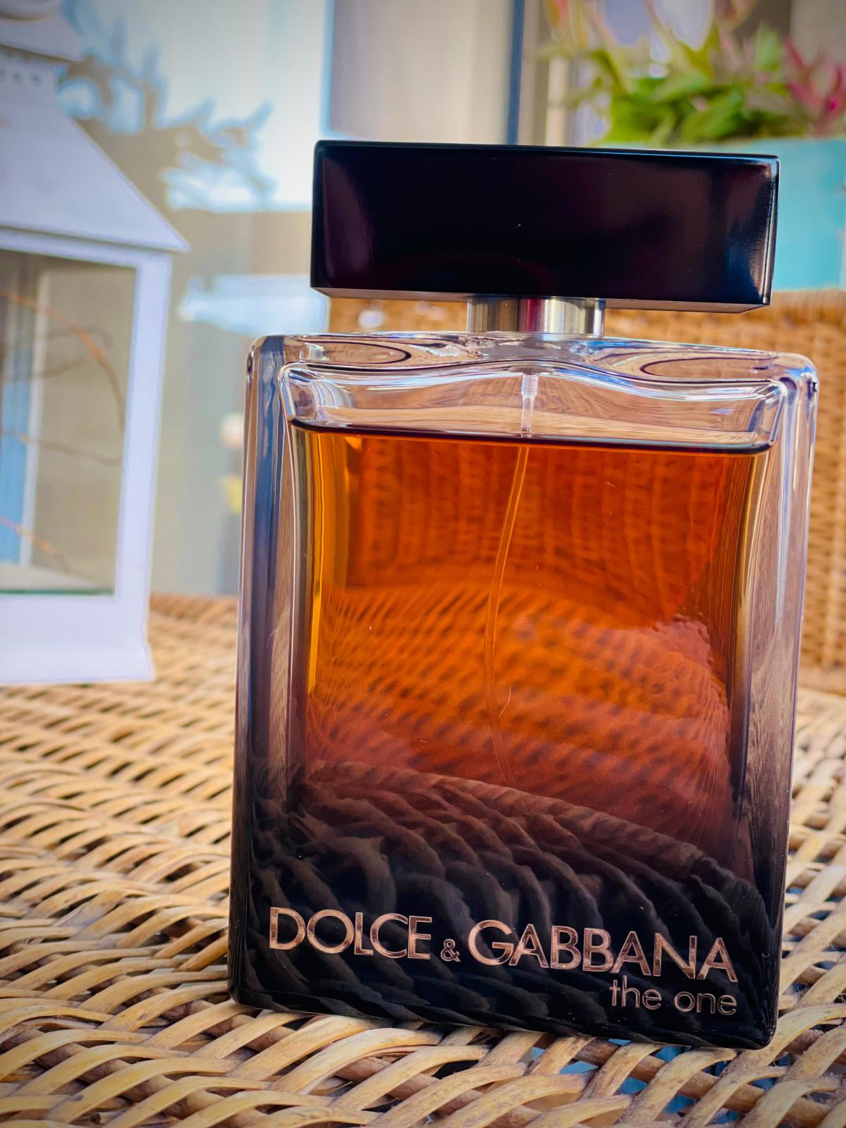 The One for Men Eau de Parfum Dolce&Gabbana cologne - a fragrance for ...