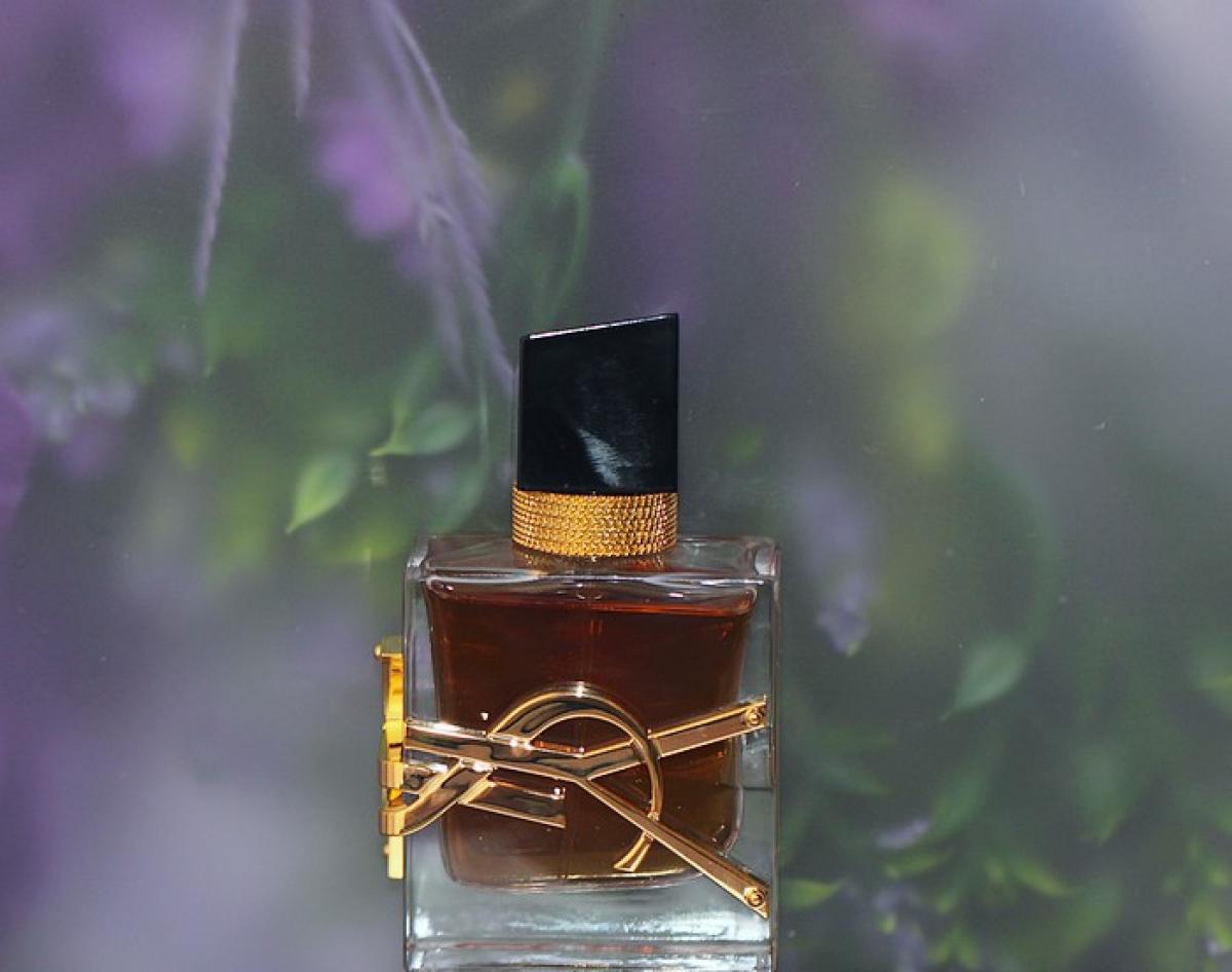 Libre Intense Yves Saint Laurent perfume - a fragrance for women 2020