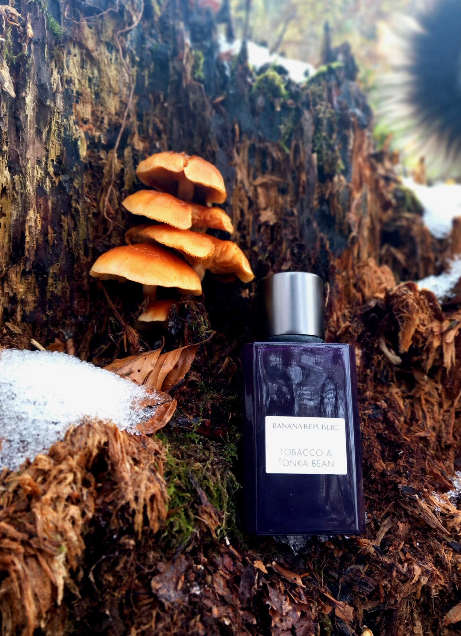Tobacco & Tonka Bean Banana Republic perfume - a fragrance for women ...
