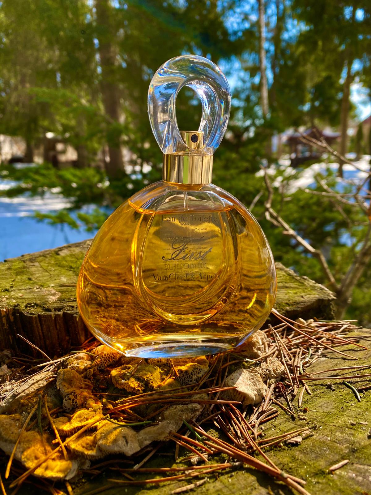 First Van Cleef & Arpels perfume - a fragrance for women 1976