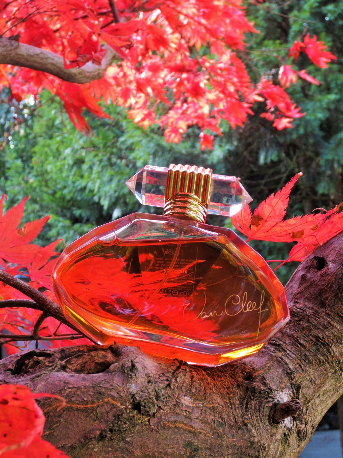 Van Cleef Van Cleef & Arpels perfume - a fragrance for women 1993