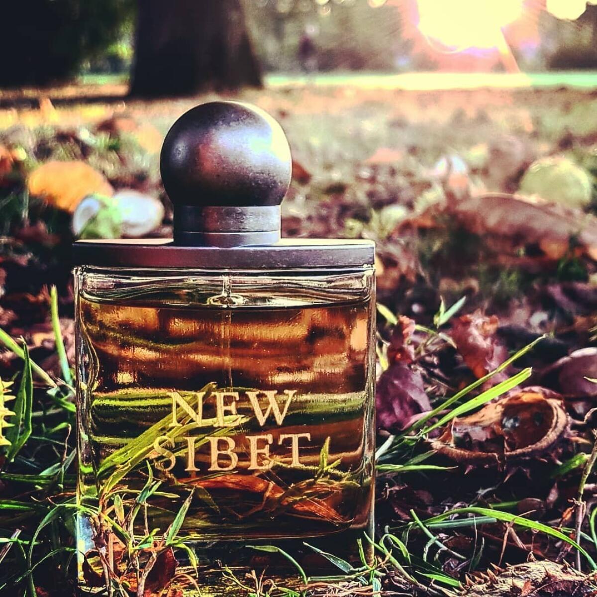 New Sibet Slumberhouse perfume - a fragrance for women and men 2016