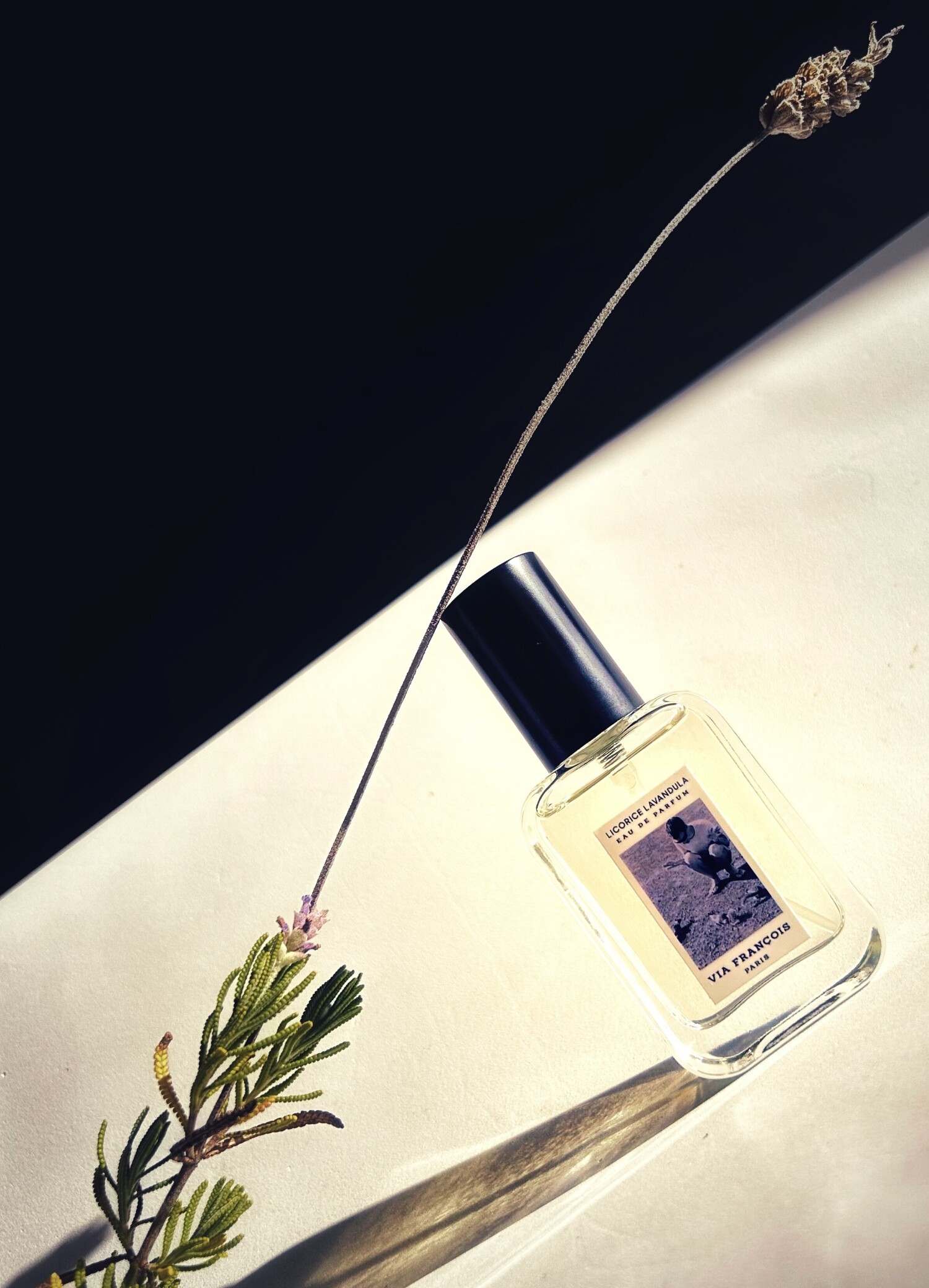 Licorice Lavandula Via François perfume - a fragrance for women and men ...