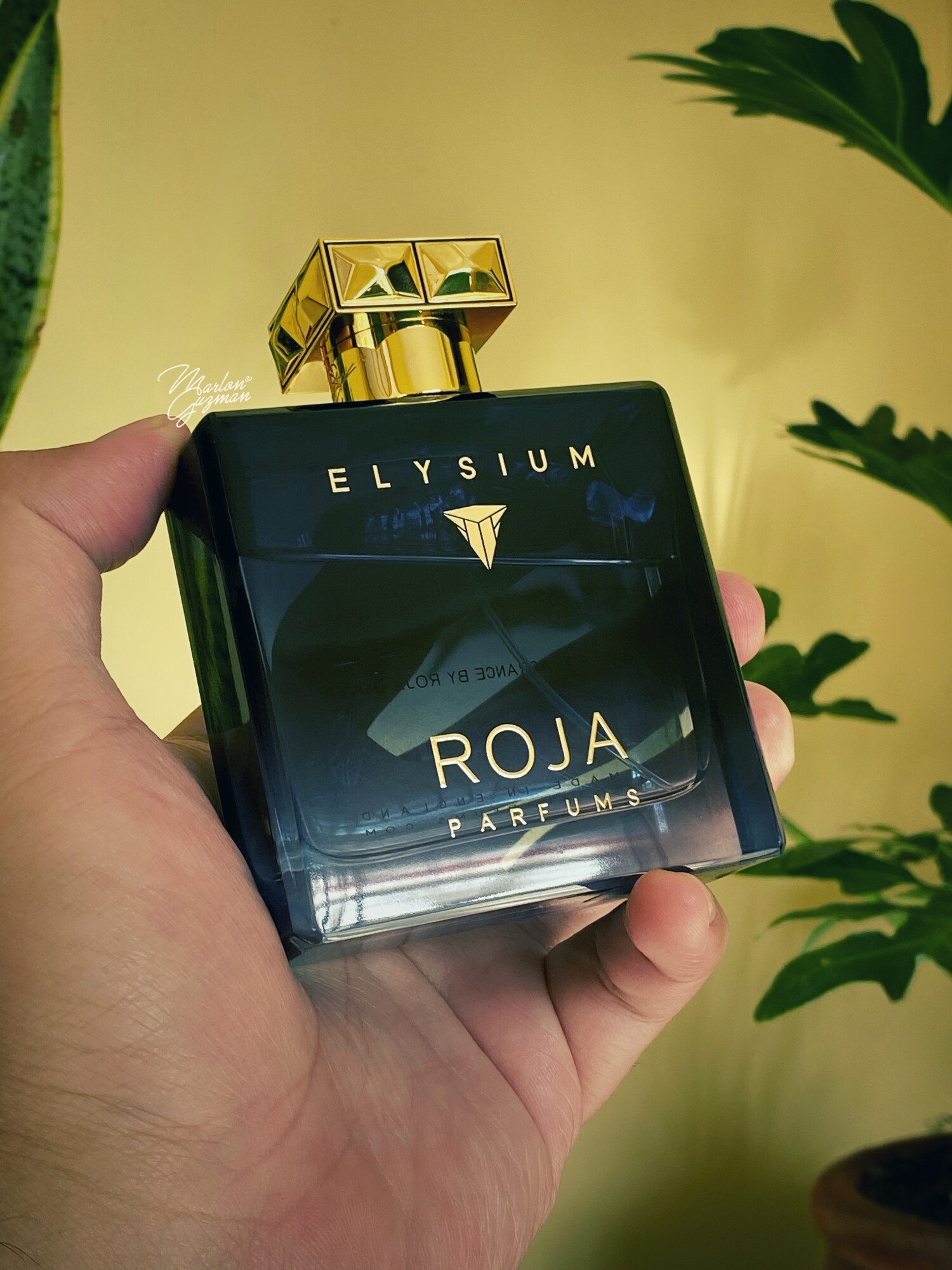 Elysium Pour Homme Parfum Cologne Roja Dove colônia - a fragrância ...