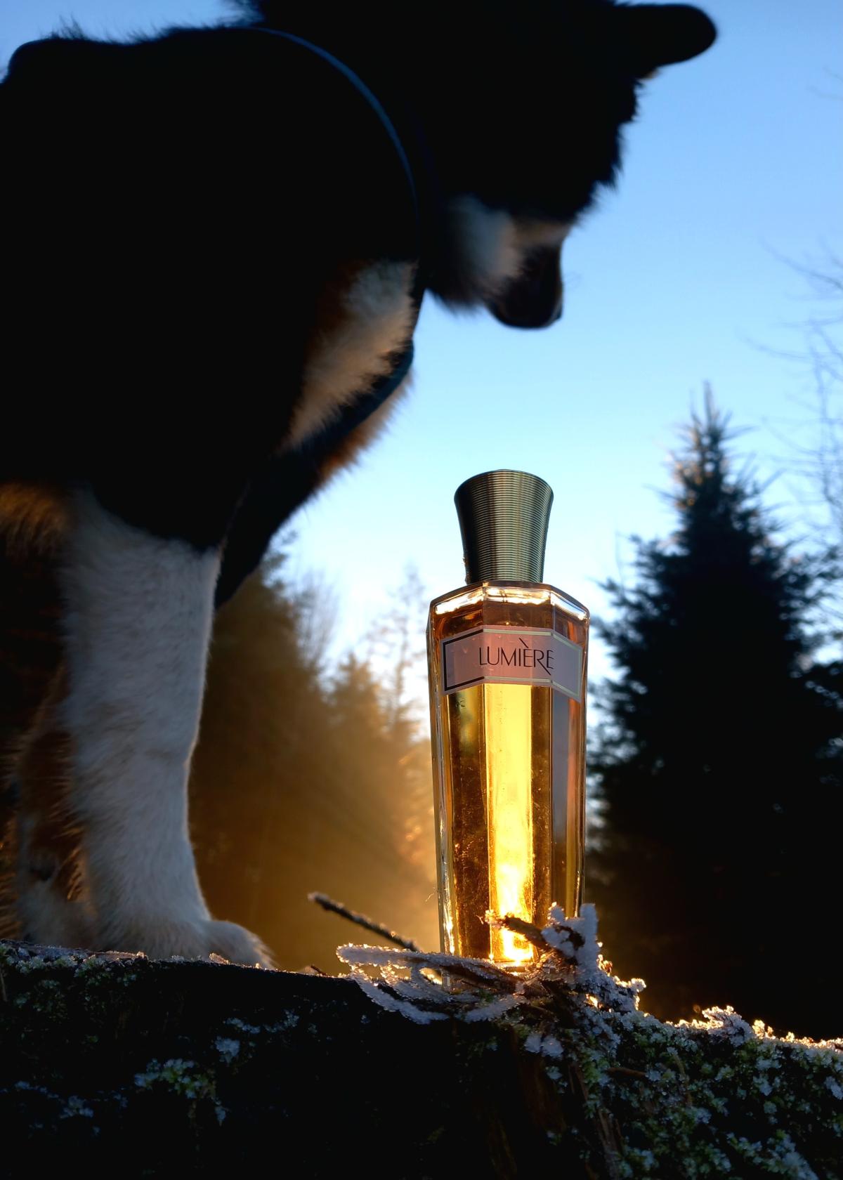 Lumiere EDT 2017 Edition Rochas perfume - a fragrance for women 2017