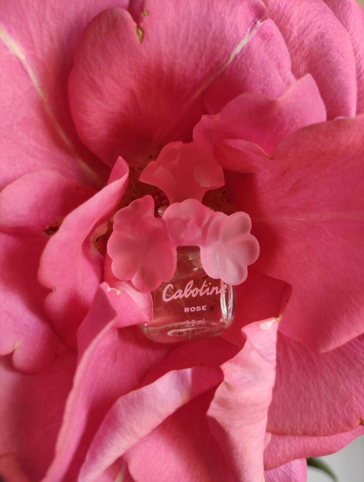 Cabotine Rose Grès perfume - a fragrance for women 2003
