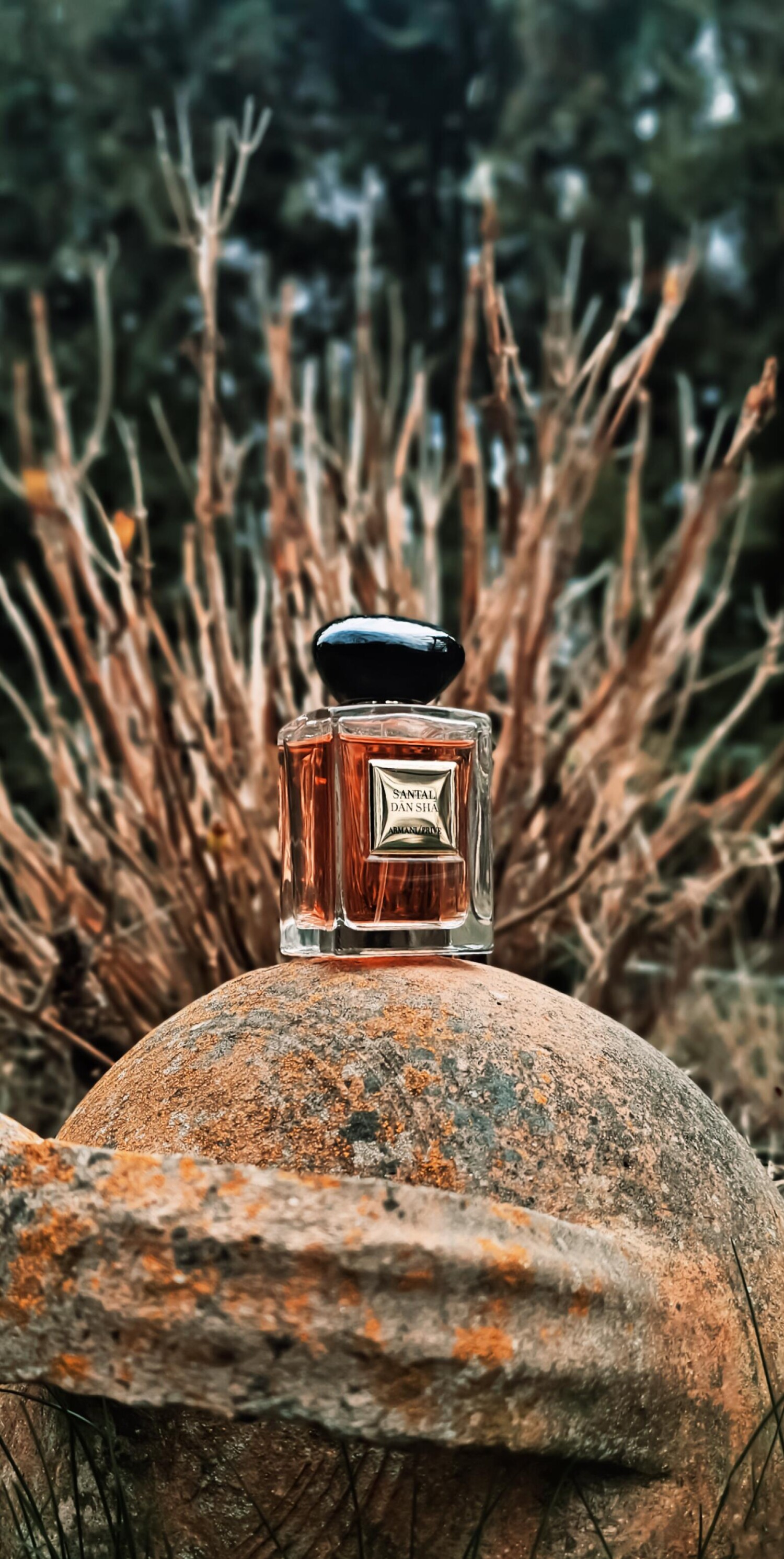 Santal Dan Sha Giorgio Armani perfume - a fragrance for women and men 2022